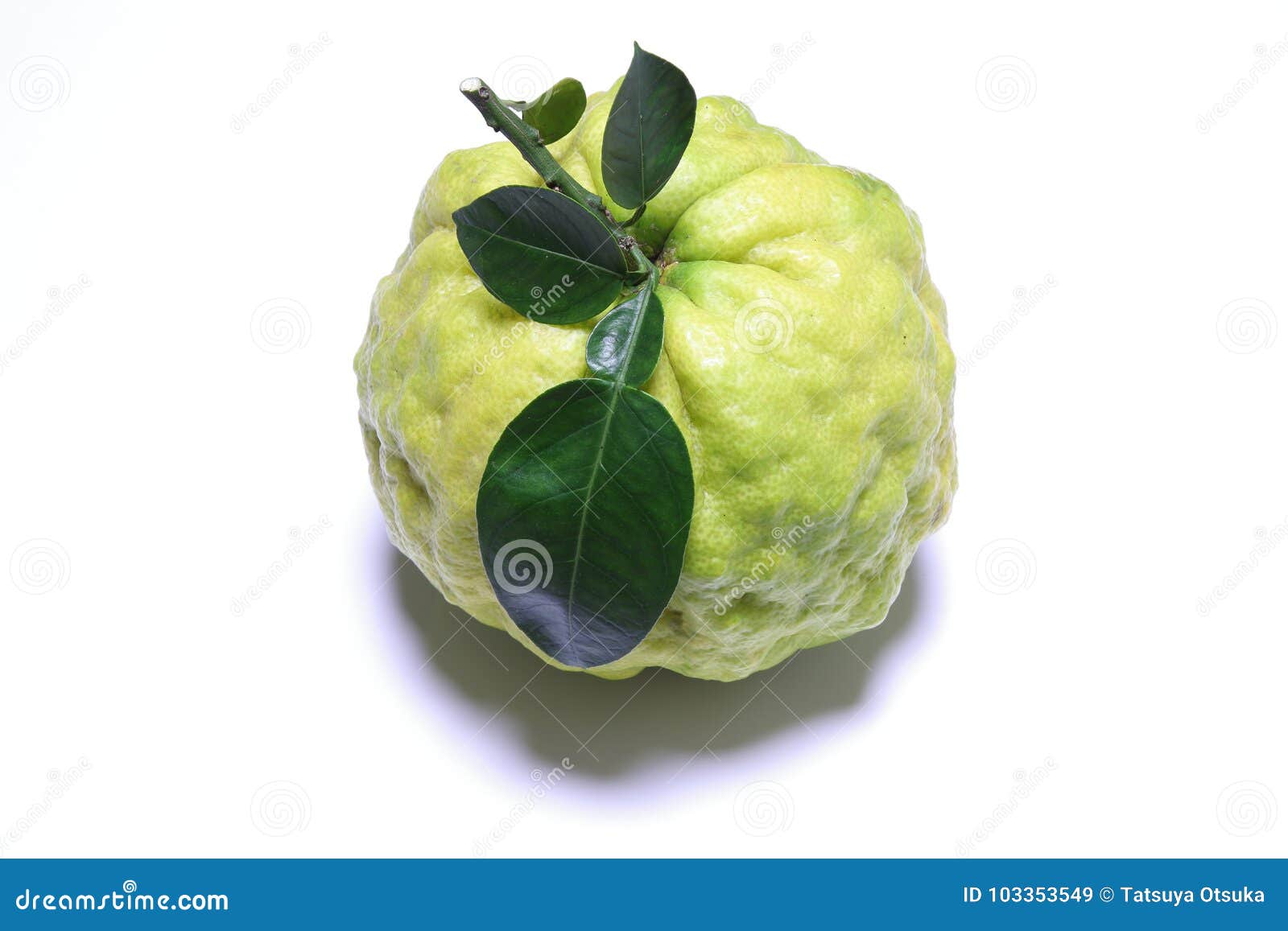 Citron in a White Background Stock Image - Image of background, fruits ...