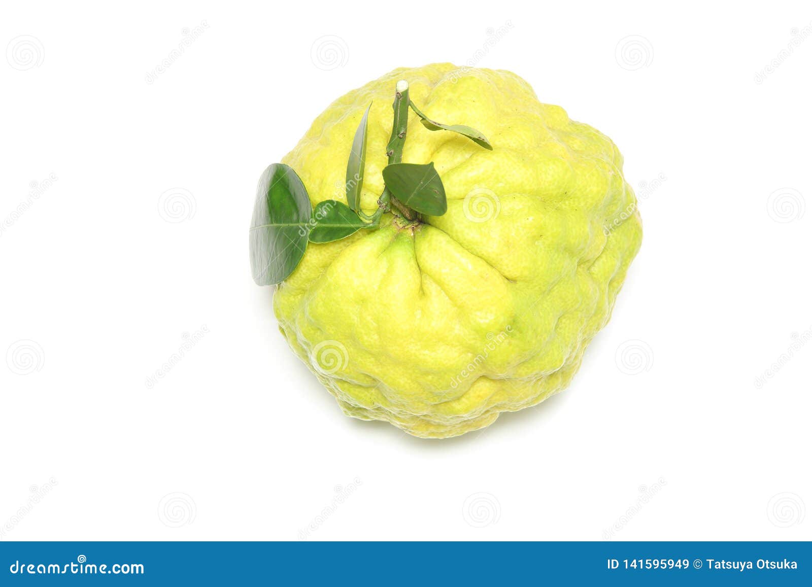 Citron in a White Background Stock Image - Image of organic, yellow ...