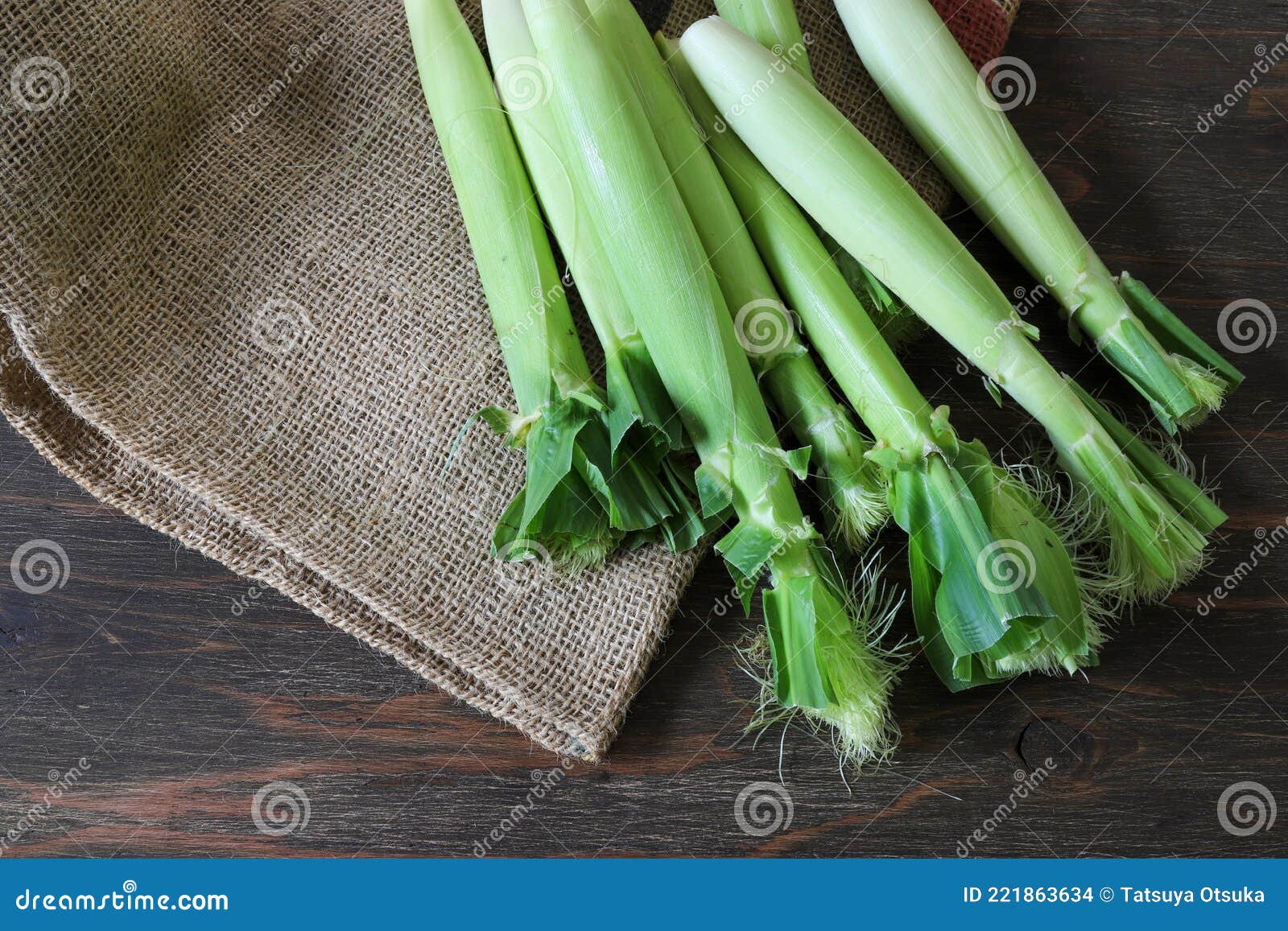 Enlarged Wild Rice Stem on the Gunny Bag Stock Photo - Image of ...