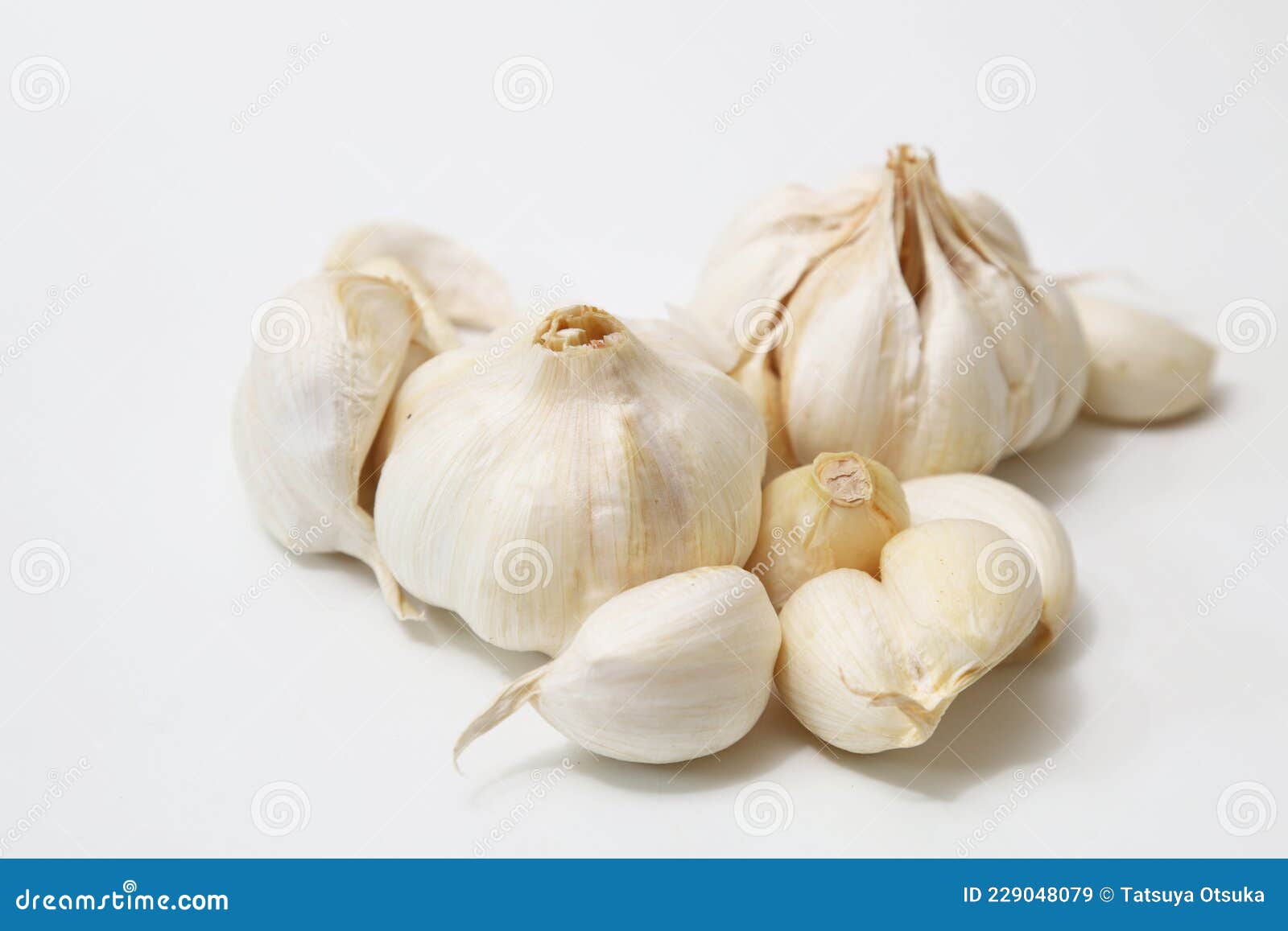 Garlics in a White Background Stock Image - Image of fresh, white ...