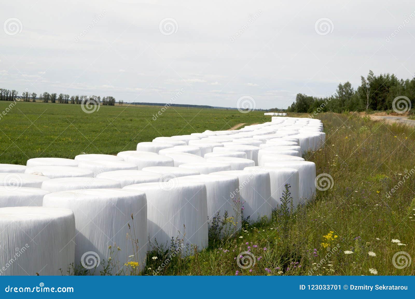 Bale of Hay Wrapped in Plastic Stock Image - Image of autumn, grass ...