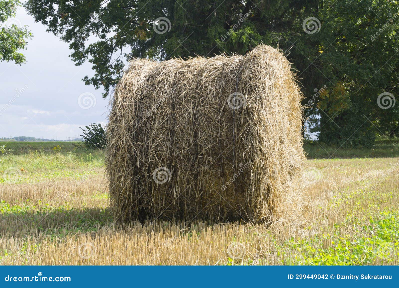 Pictured Haystack Lying on the Field Stock Photo - Image of scene ...
