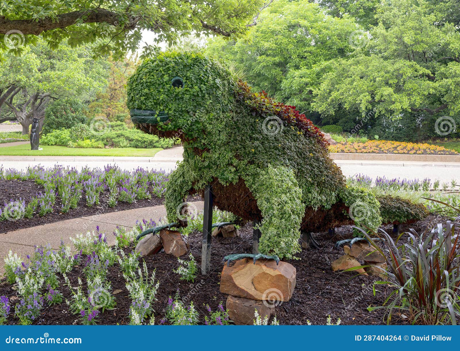 Lizard Topiary on Display in the Fort Worth Botanical Garden. Editorial ...