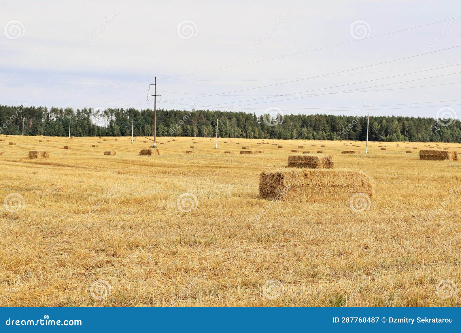 Rectangular Bale of Straw in the Field Stock Image - Image of ...