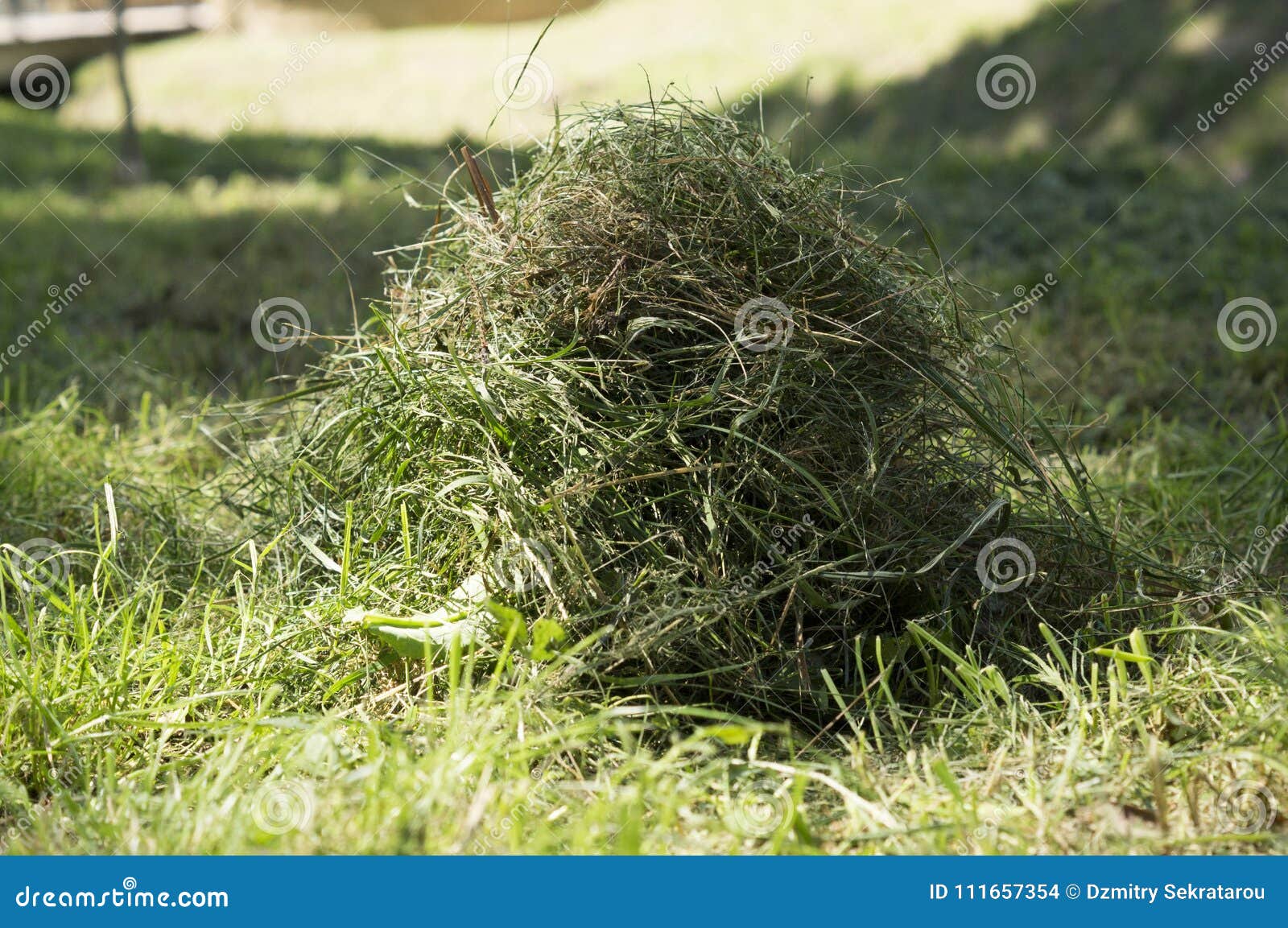 A small haystack closeup stock photo. Image of country - 111657354