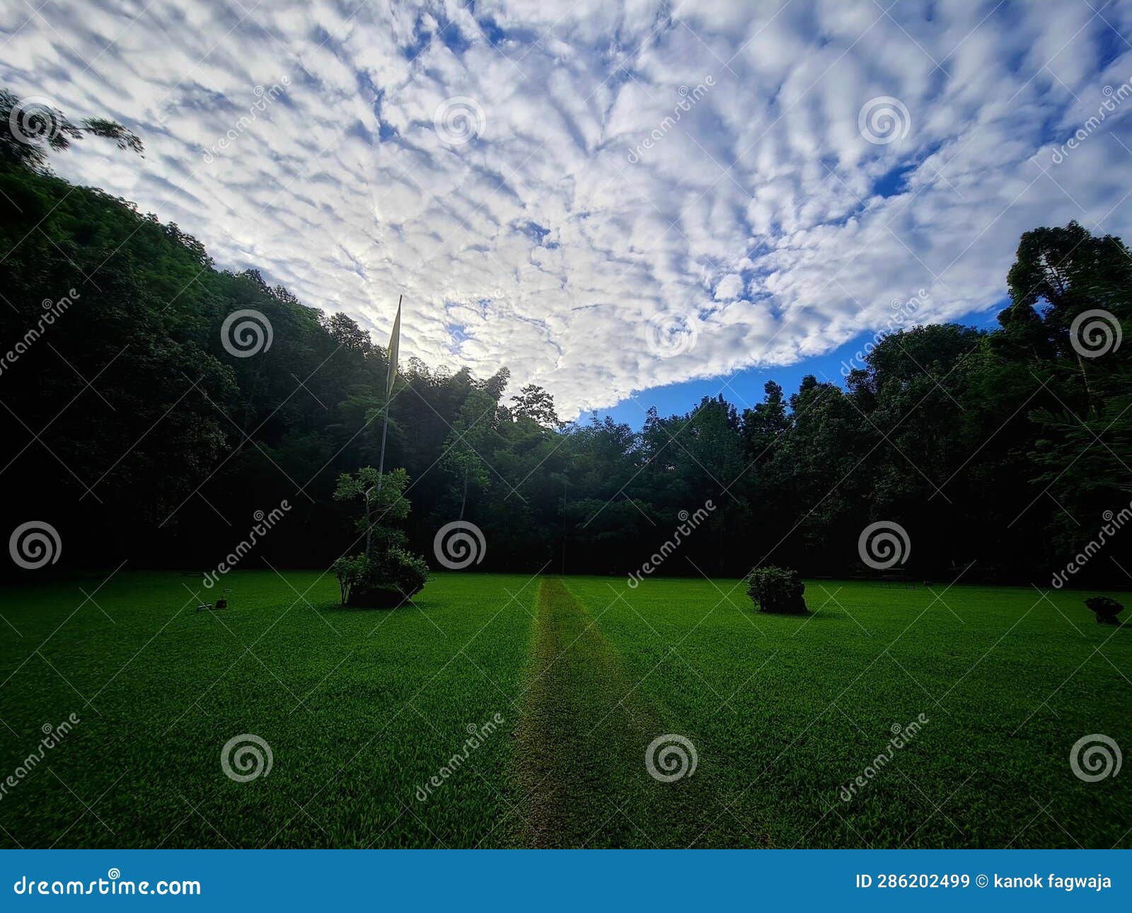 Pictures of Natural Scenery Look Comfortable To the Eye. Stock Image ...