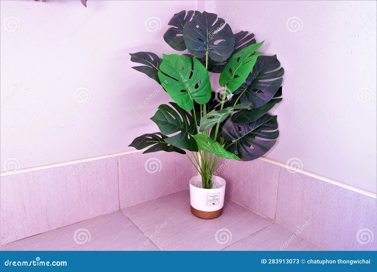 Pictures of Things that Look Good on the Mind Stock Image - Image of ...