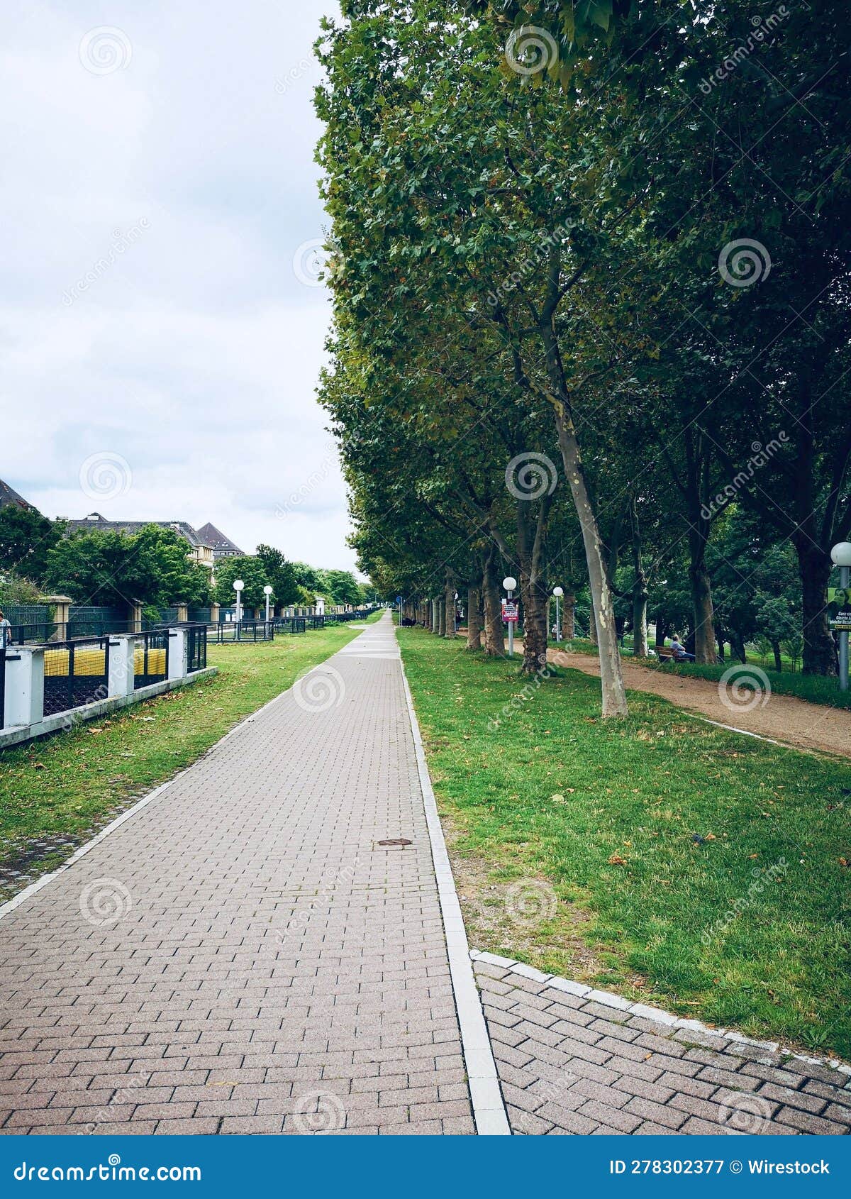Picturesque Brick Pathway with Lush Greenery and Trees in a Park Stock ...