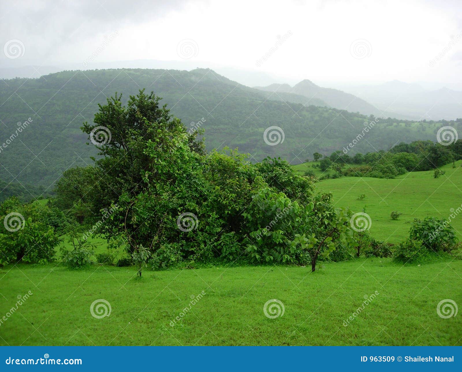 Picturesque Green Countryside Stock Image - Image of outside ...