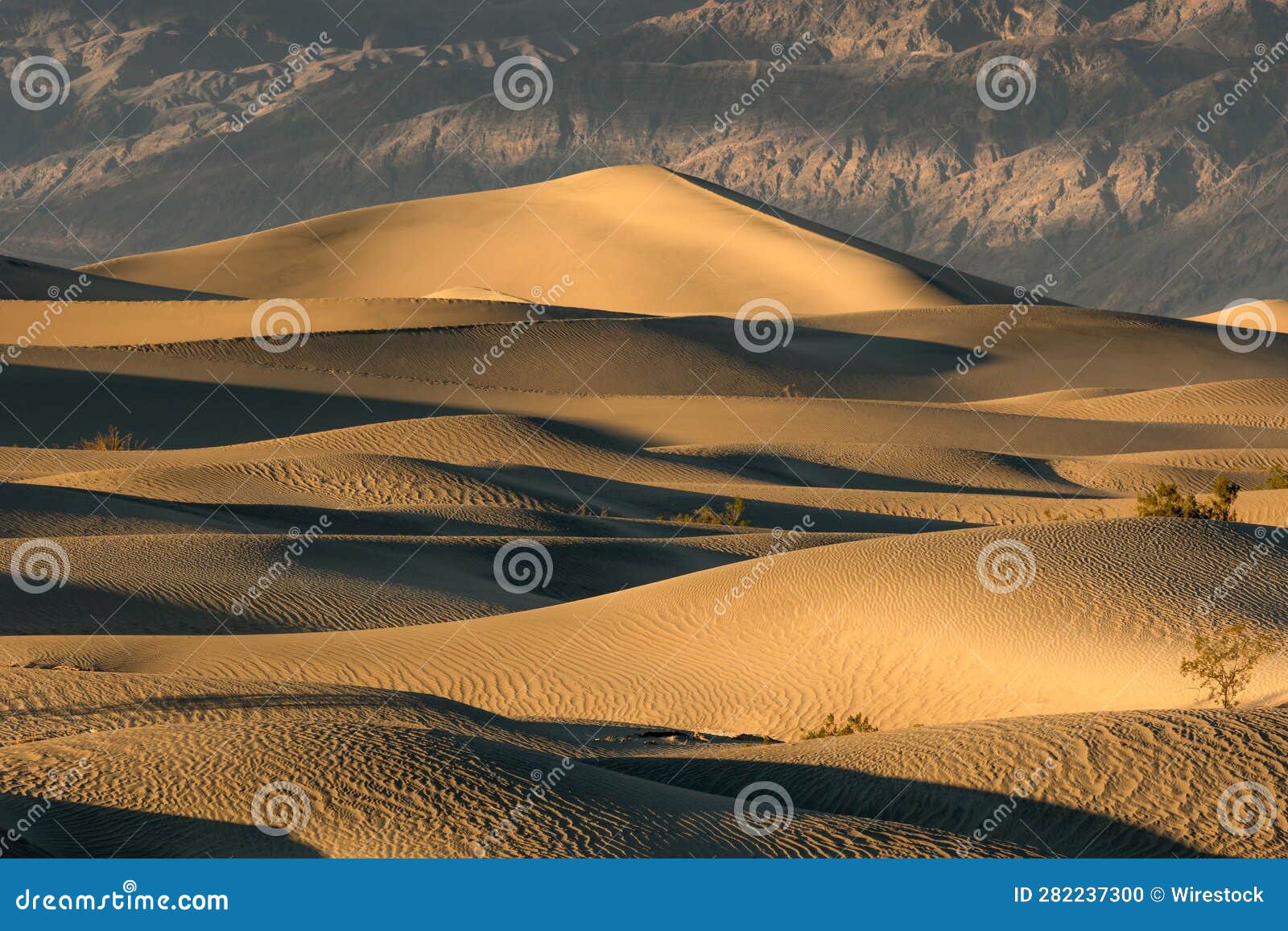 Picturesque Landscape of Rolling Sand Dunes. Stock Photo - Image of ...