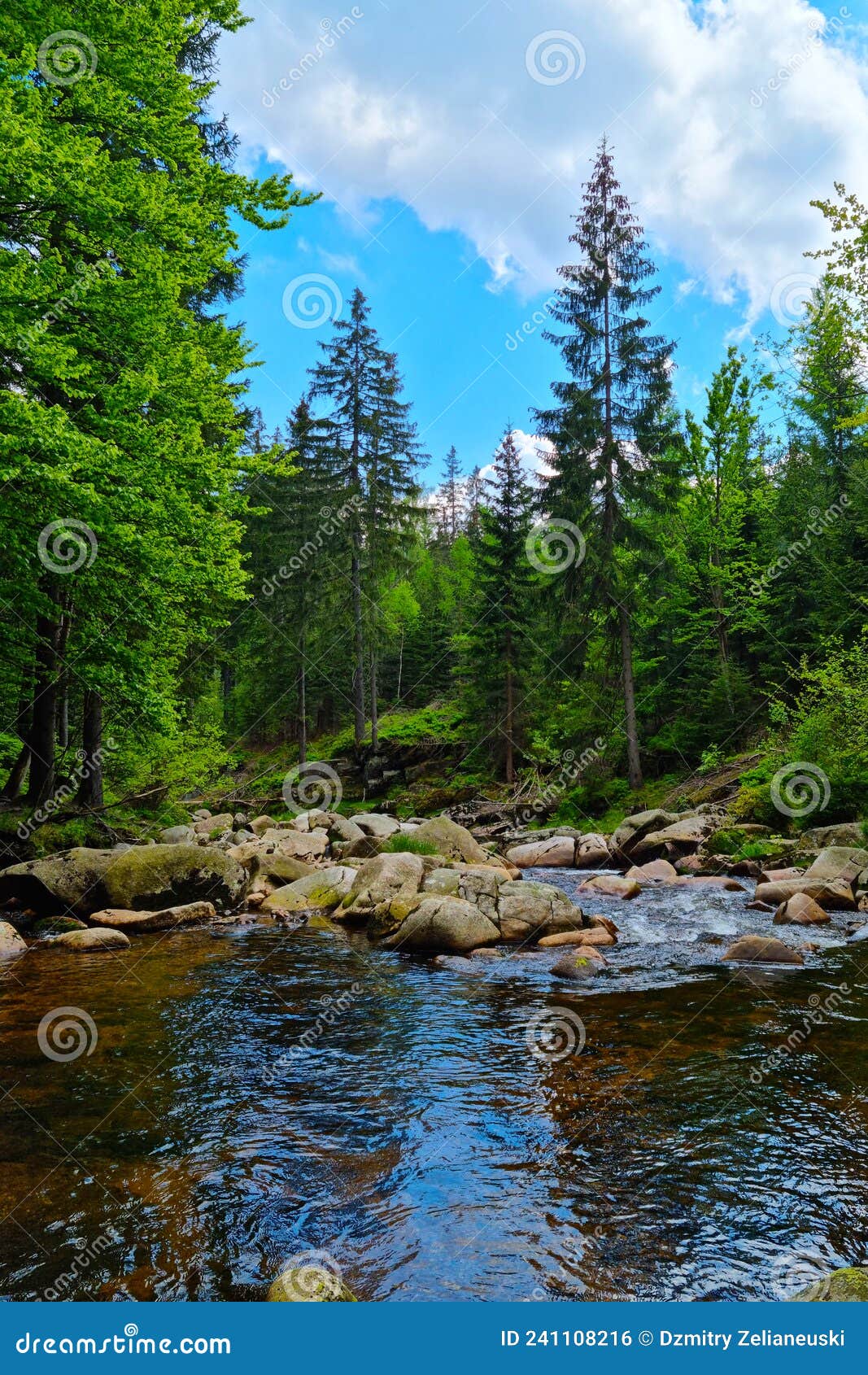 A Picturesque Mountain River Flows Over Rocks in a Green Forest. Stock ...