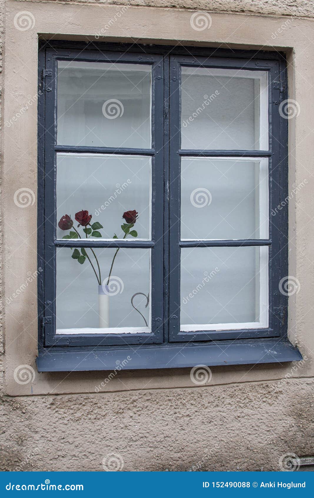 Picturesque Old Fashioned Window with Red Roses Stock Photo - Image of ...