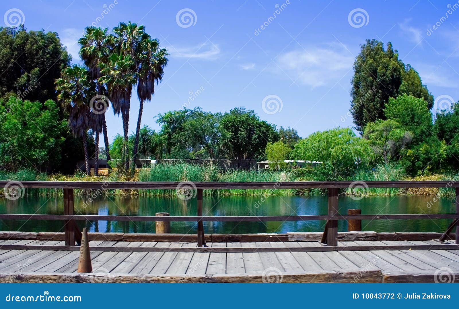 Picturesque quiet scenery stock photo. Image of field - 10043772
