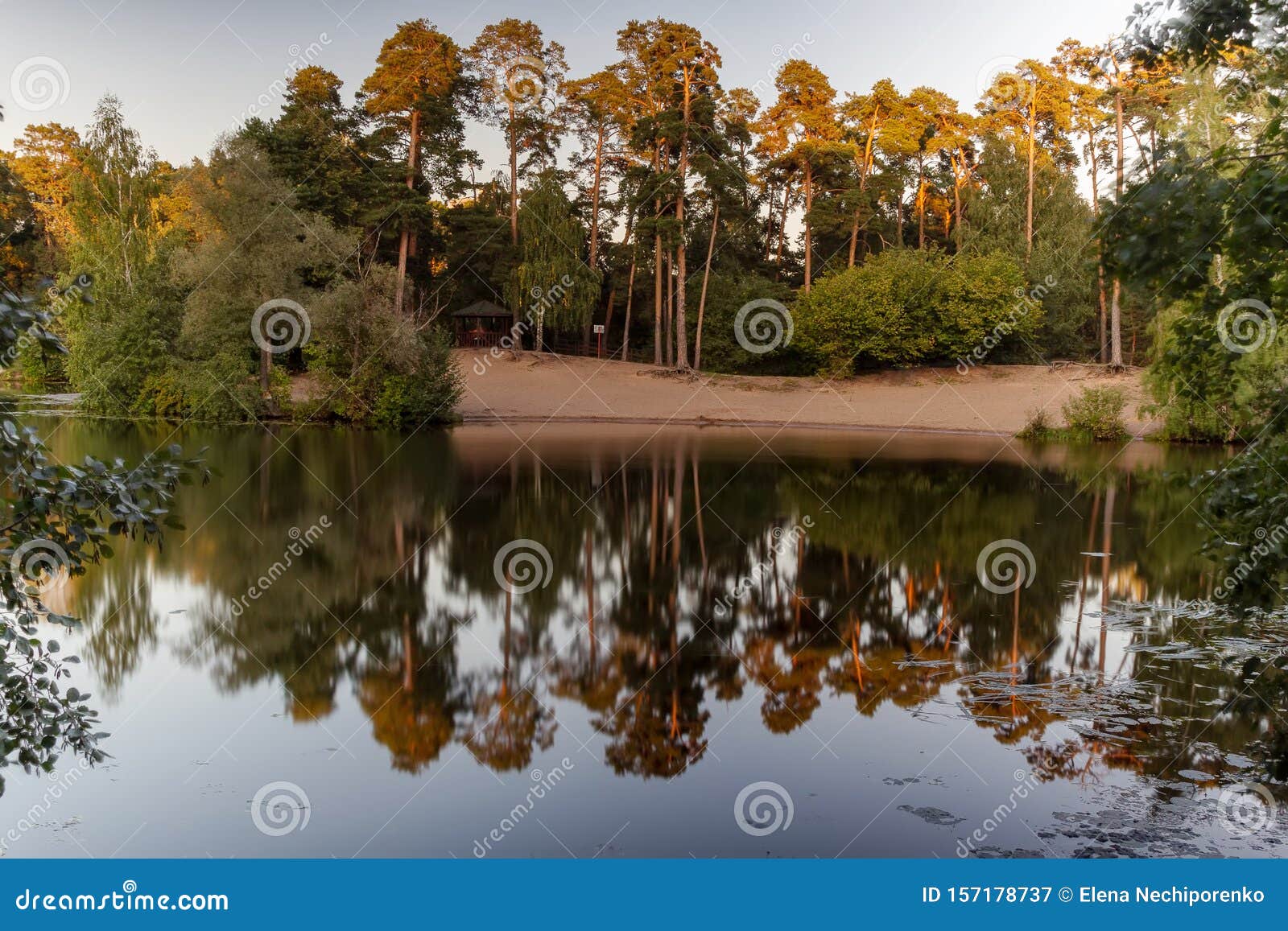 A Picturesque Scene of Reflection of Trees in the Surface of the Lake ...