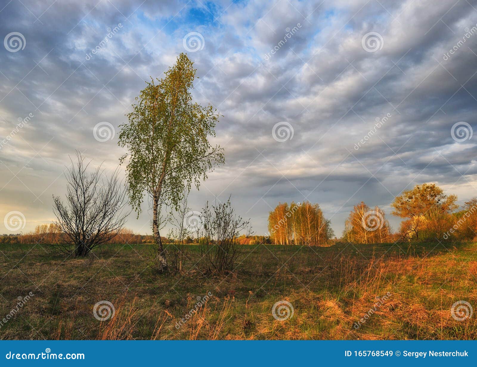 Picturesque spring dawn stock image. Image of light - 165768549