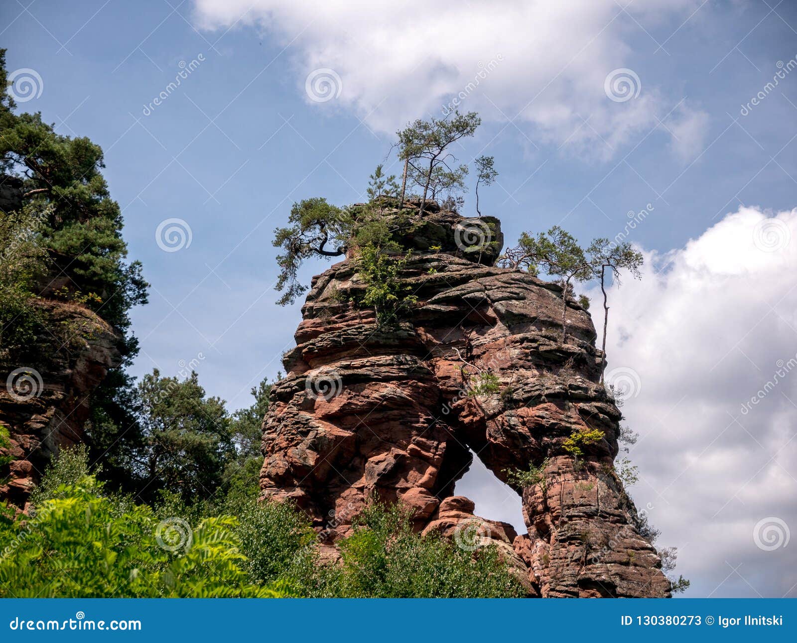 A Picturesque Tree on Top of a Cliff. Stock Image - Image of ...