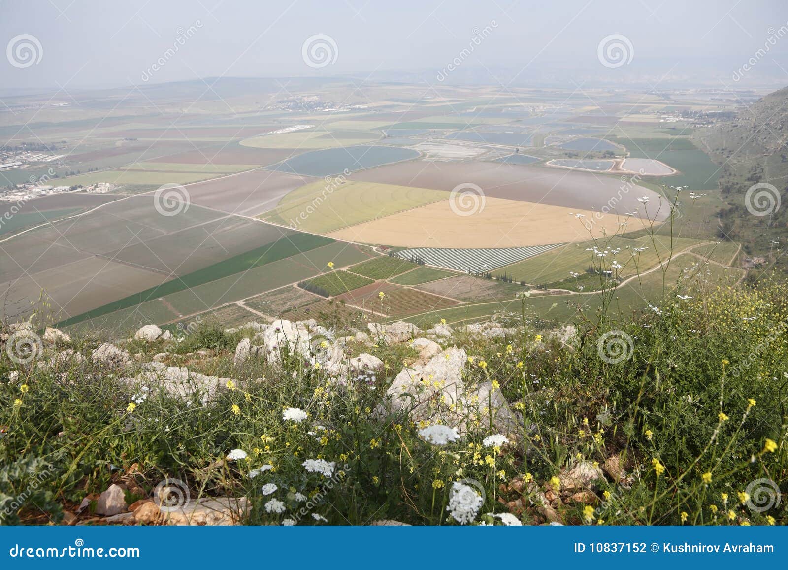 Picturesque Valley in the Israeli Galilee. Stock Photo - Image of ...