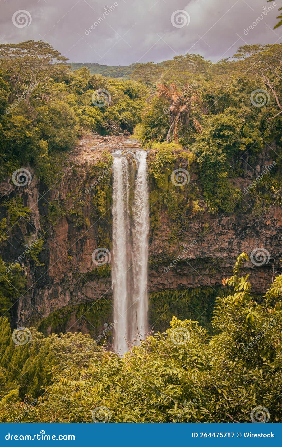 Picturesque View of the Akaka Falls on Kolekole Stream Stock Image ...