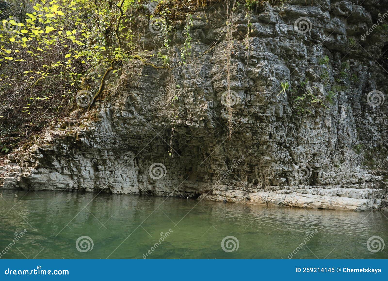 Picturesque View of Clean River Near Cliffs and Plants Outdoors Stock ...