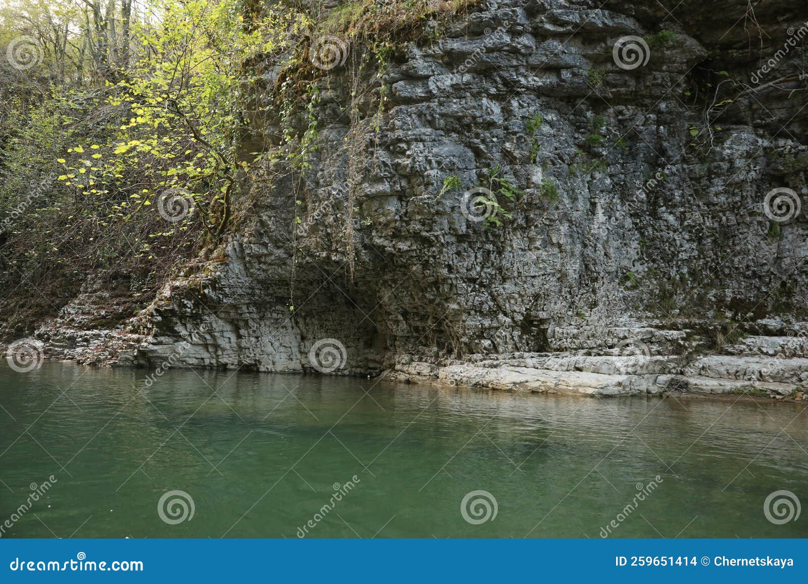 Picturesque View of Clean River Near Cliffs and Plants Outdoors Stock ...