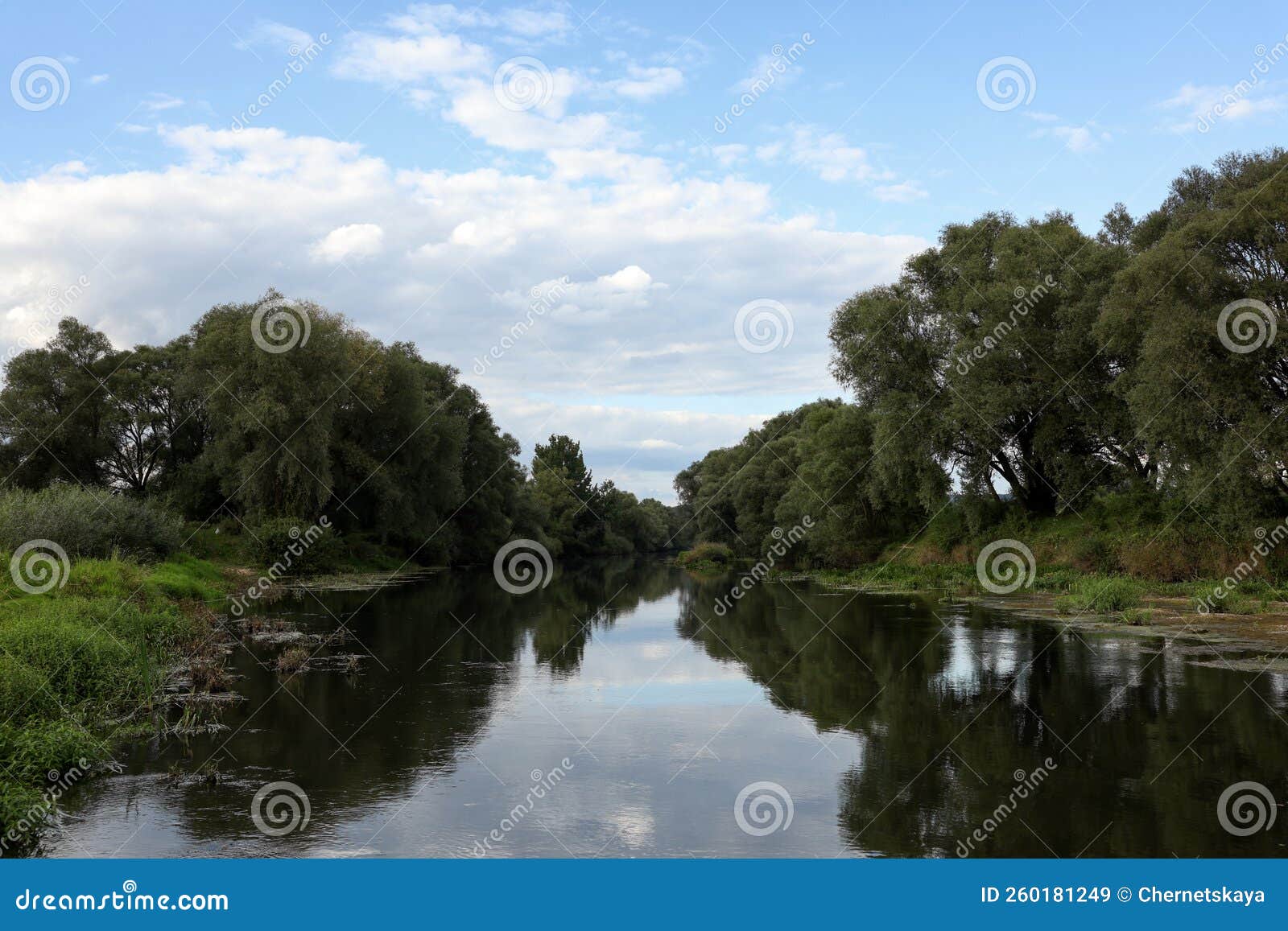 Picturesque View of Clean River and Trees in Countryside Stock Image ...
