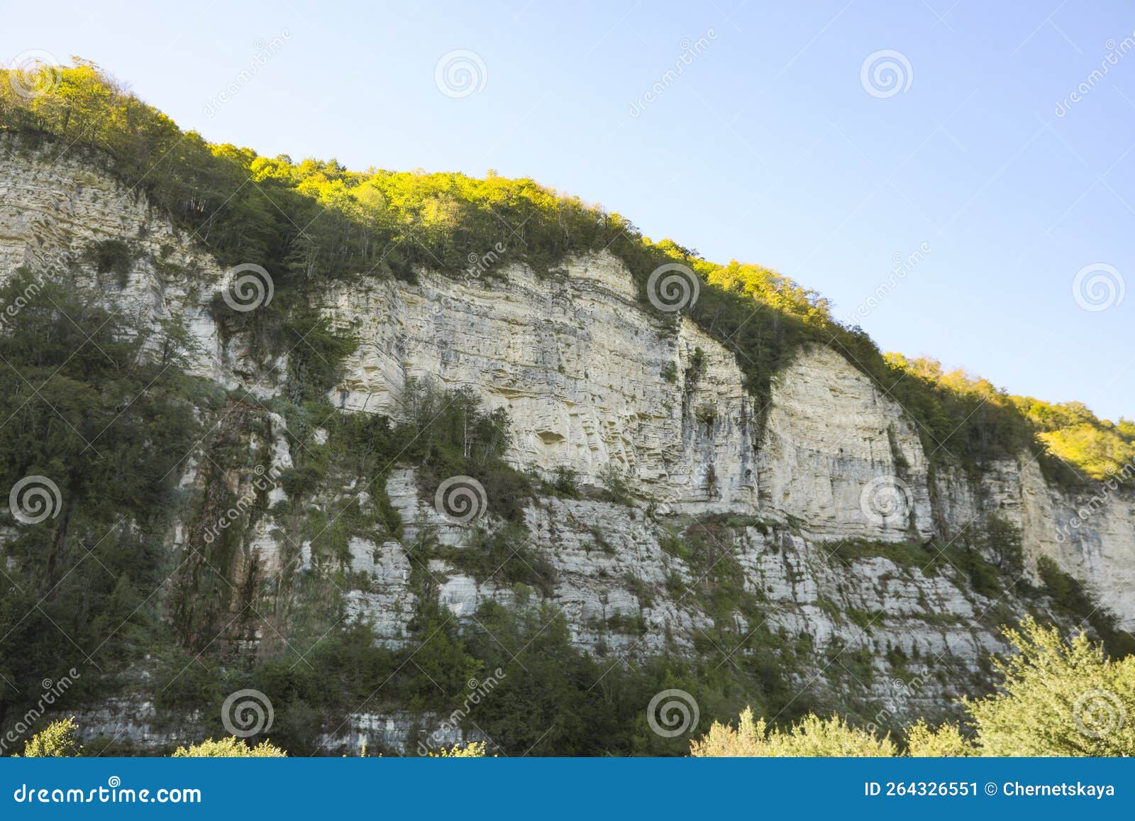 Picturesque View of Cliff with Forest on Sunny Day Stock Image - Image ...