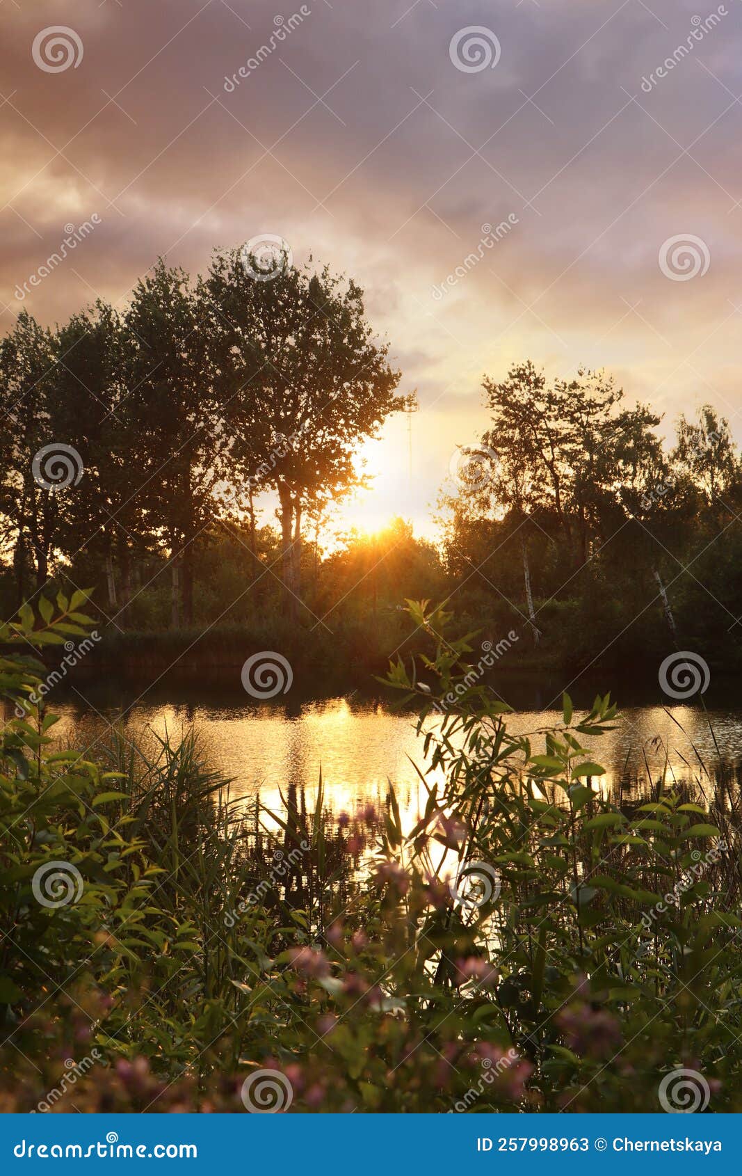 Picturesque View of Countryside with River in Morning Stock Image ...