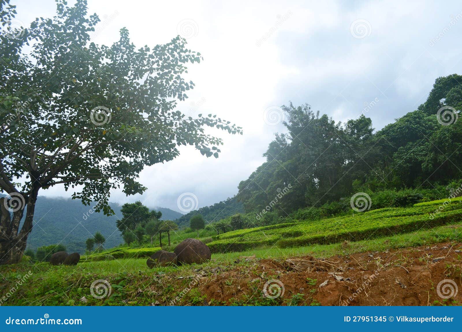 Picturesque View on the Field Stock Image - Image of landscape, view ...