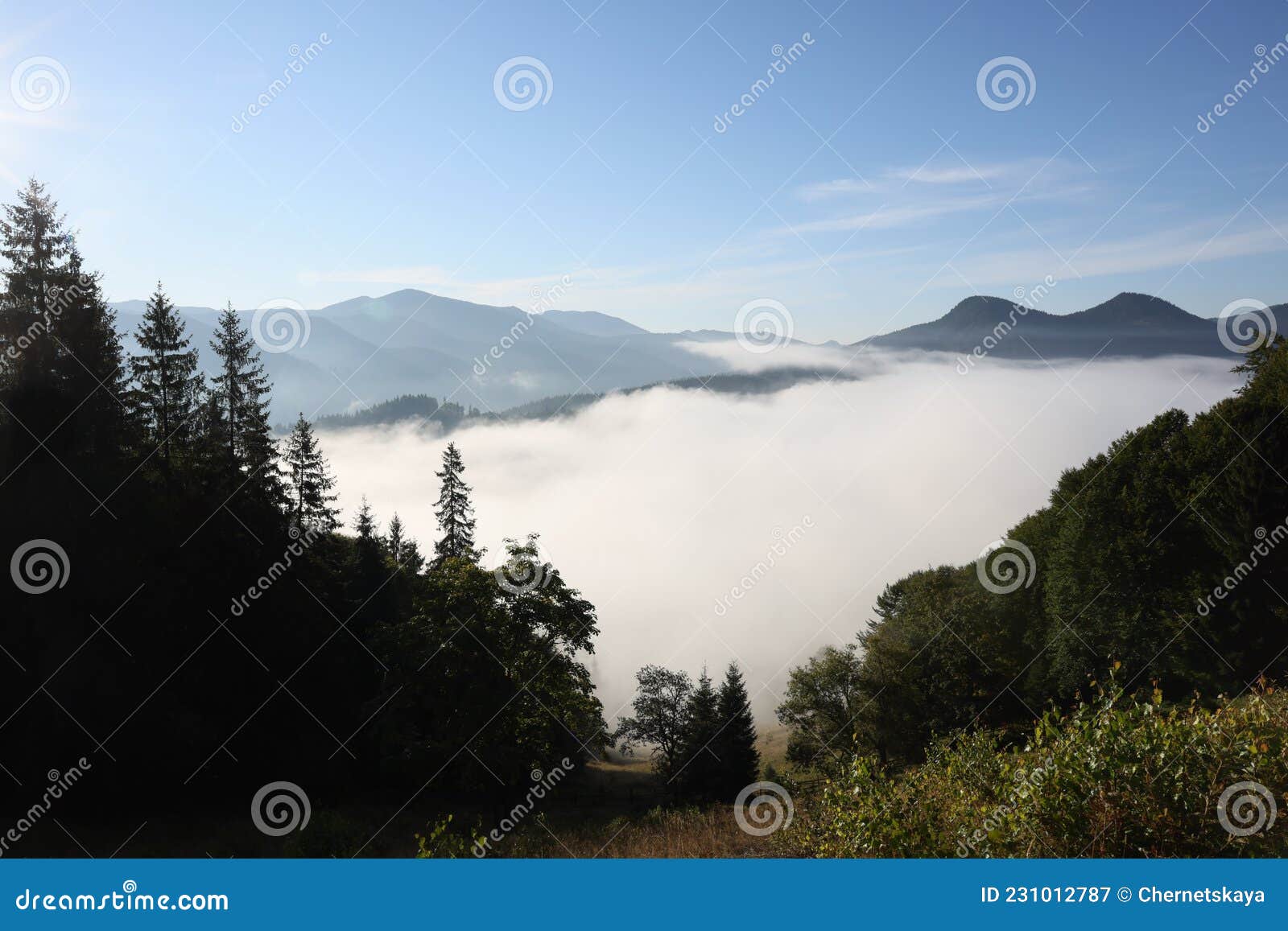 Picturesque View of Fog in Mountain Forest Stock Image - Image of ...