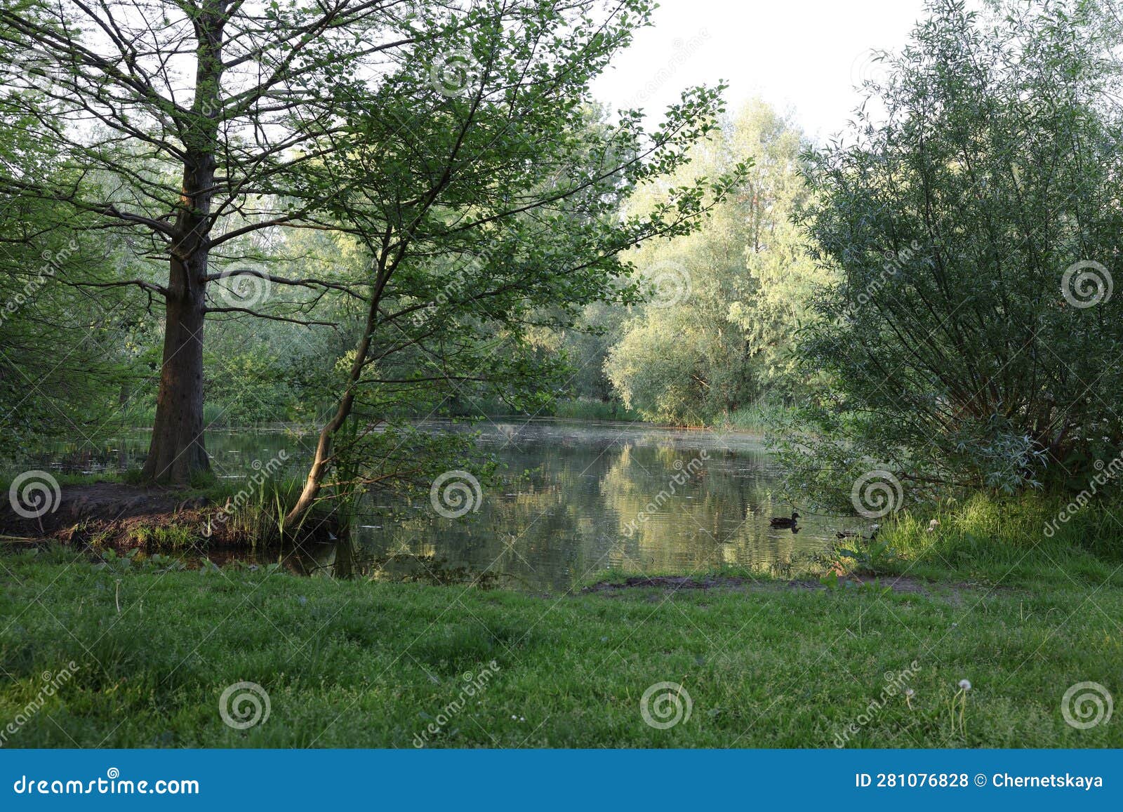 Picturesque View of Green Park with Pond Stock Photo - Image of channel ...