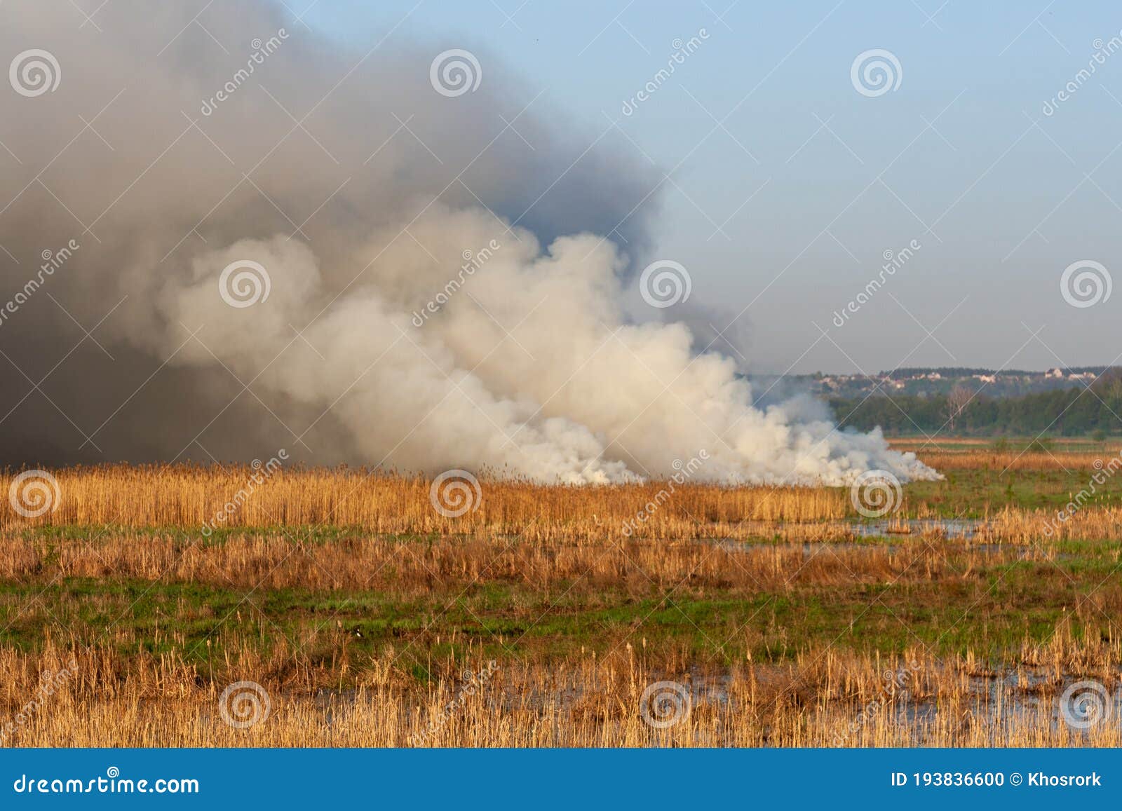 Picturesque View of Smoke on Peat Field - Fire Nature Stock Photo ...