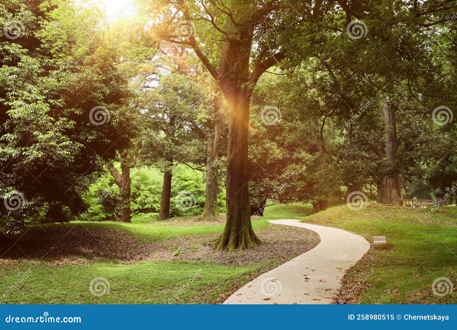 Picturesque View of Tranquil Park with Paved Pathway Stock Image ...