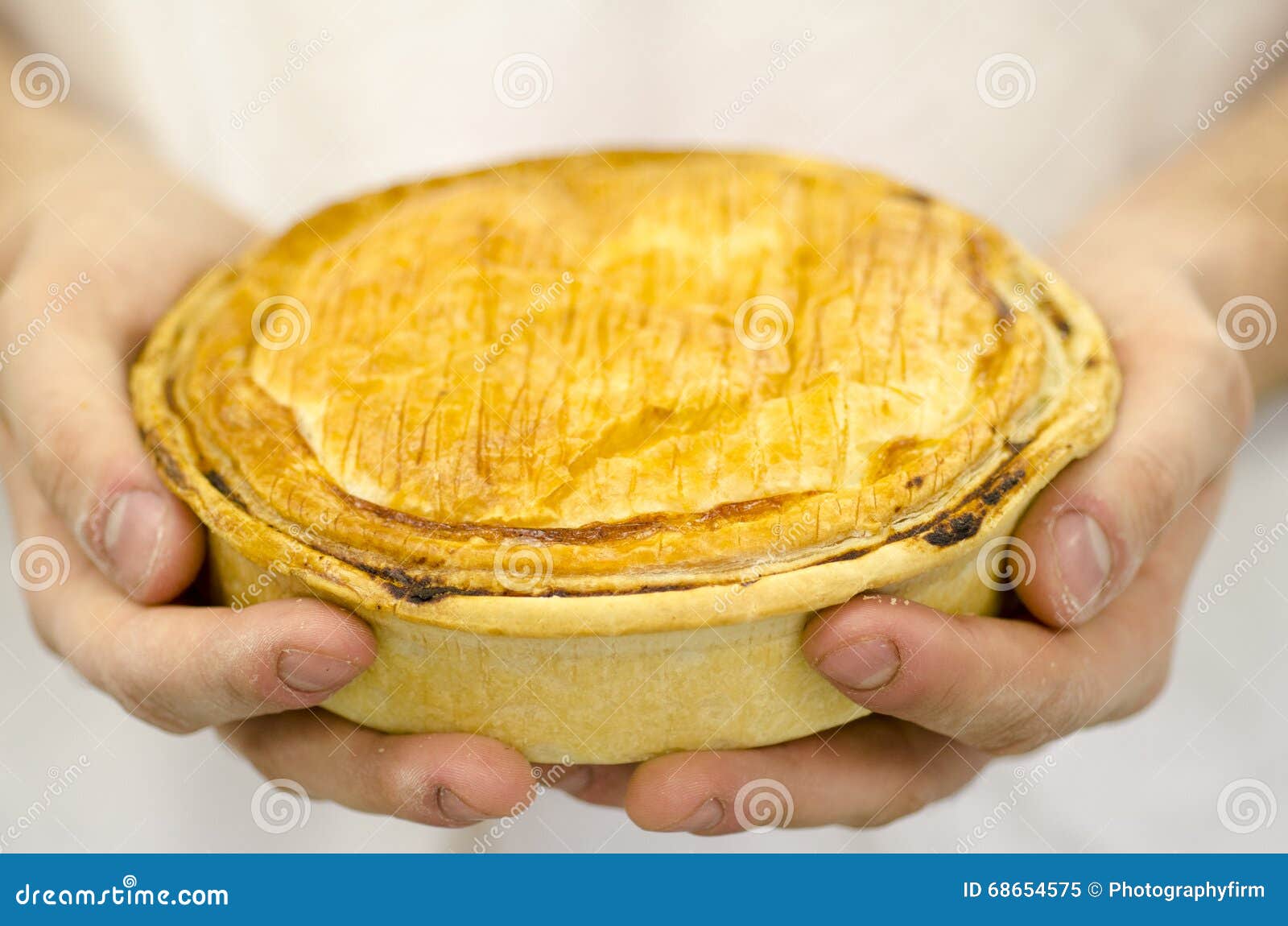 Pie in Hand stock image. Image of kidney, homemade, pork - 68654575