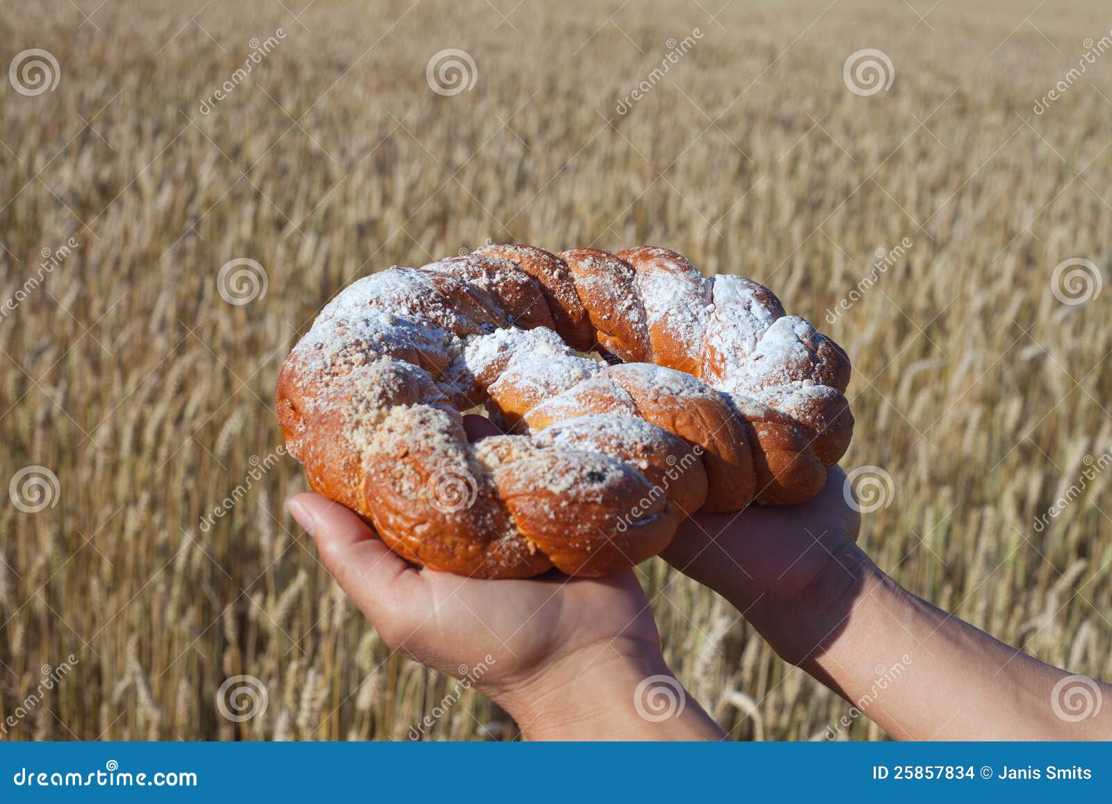 Pie in hands. stock photo. Image of countryside, country - 25857834