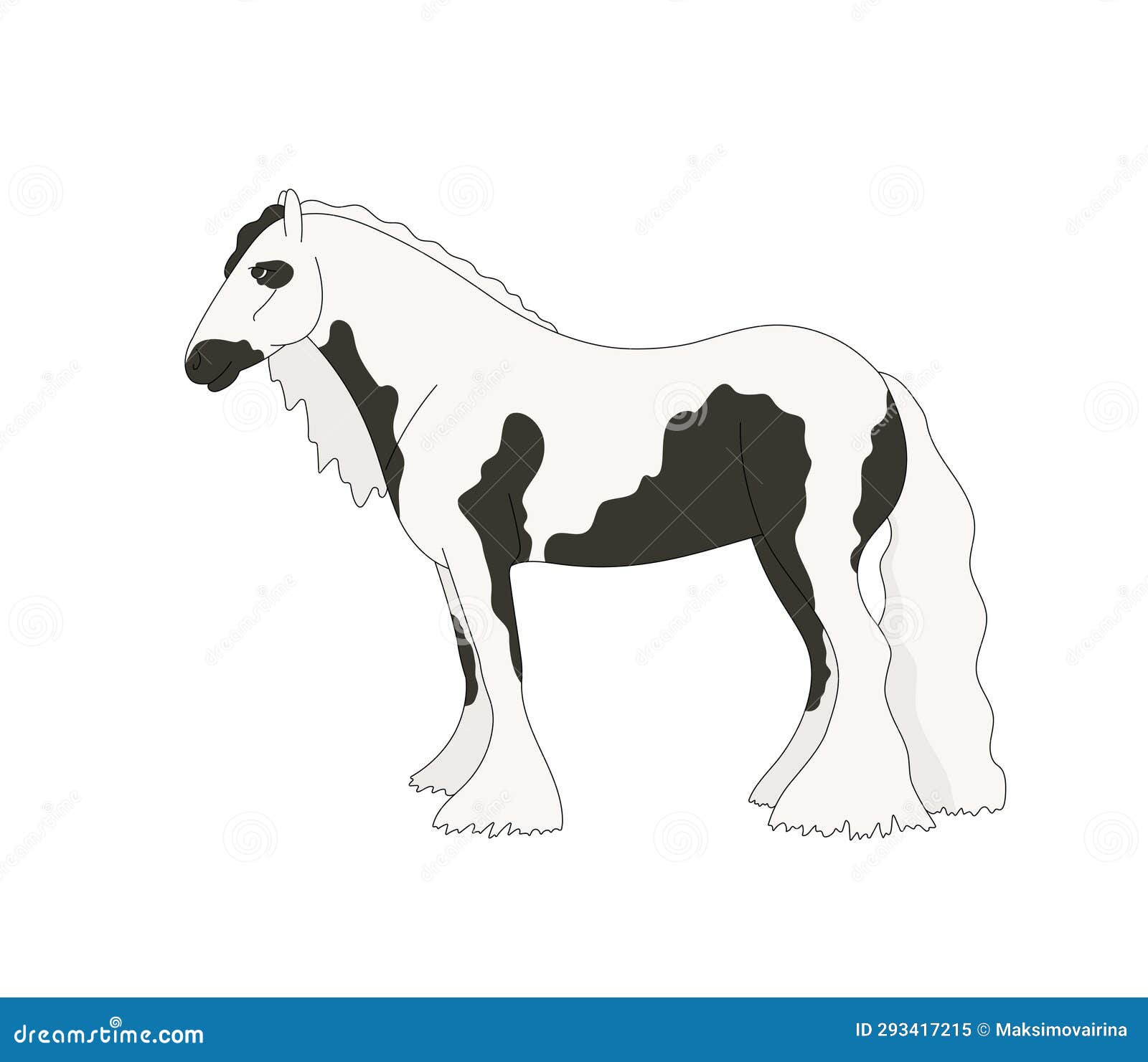Piebald, Skewbald, Pinto Horse Color Chart On White. Equine Coat Colors ...