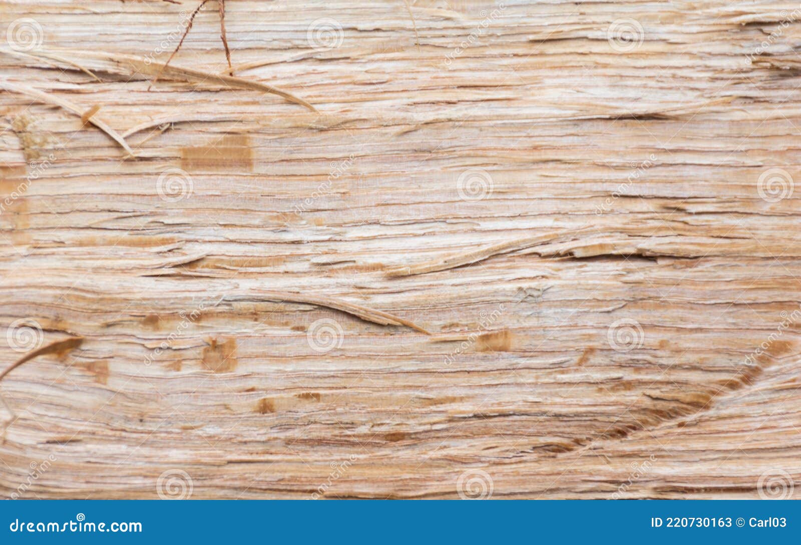 Dried Hickory Woodgrain stock image. Image of texture - 220730163