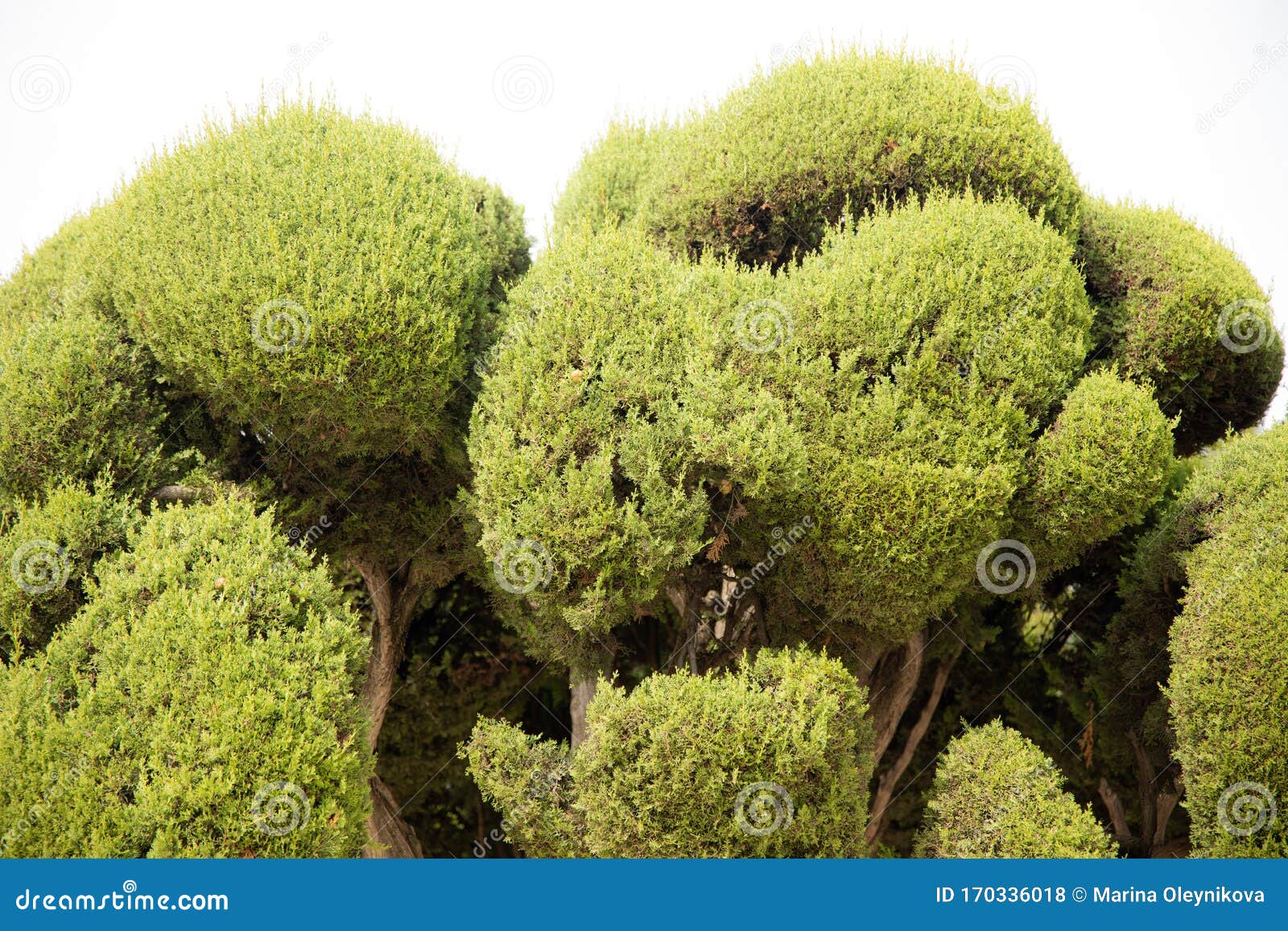 A Piece of Ancient Wall Made of Spongy Stones Stock Photo - Image of ...