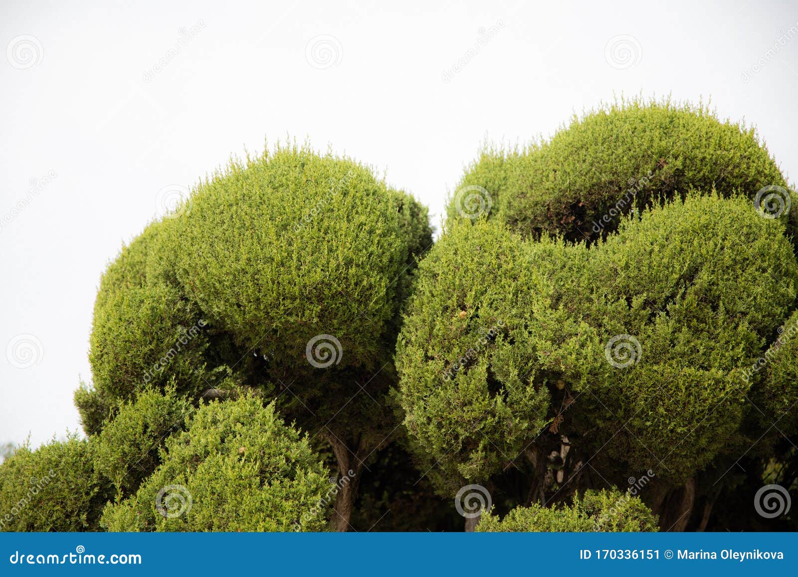 A Piece of Ancient Wall Made of Spongy Stones Stock Image - Image of ...