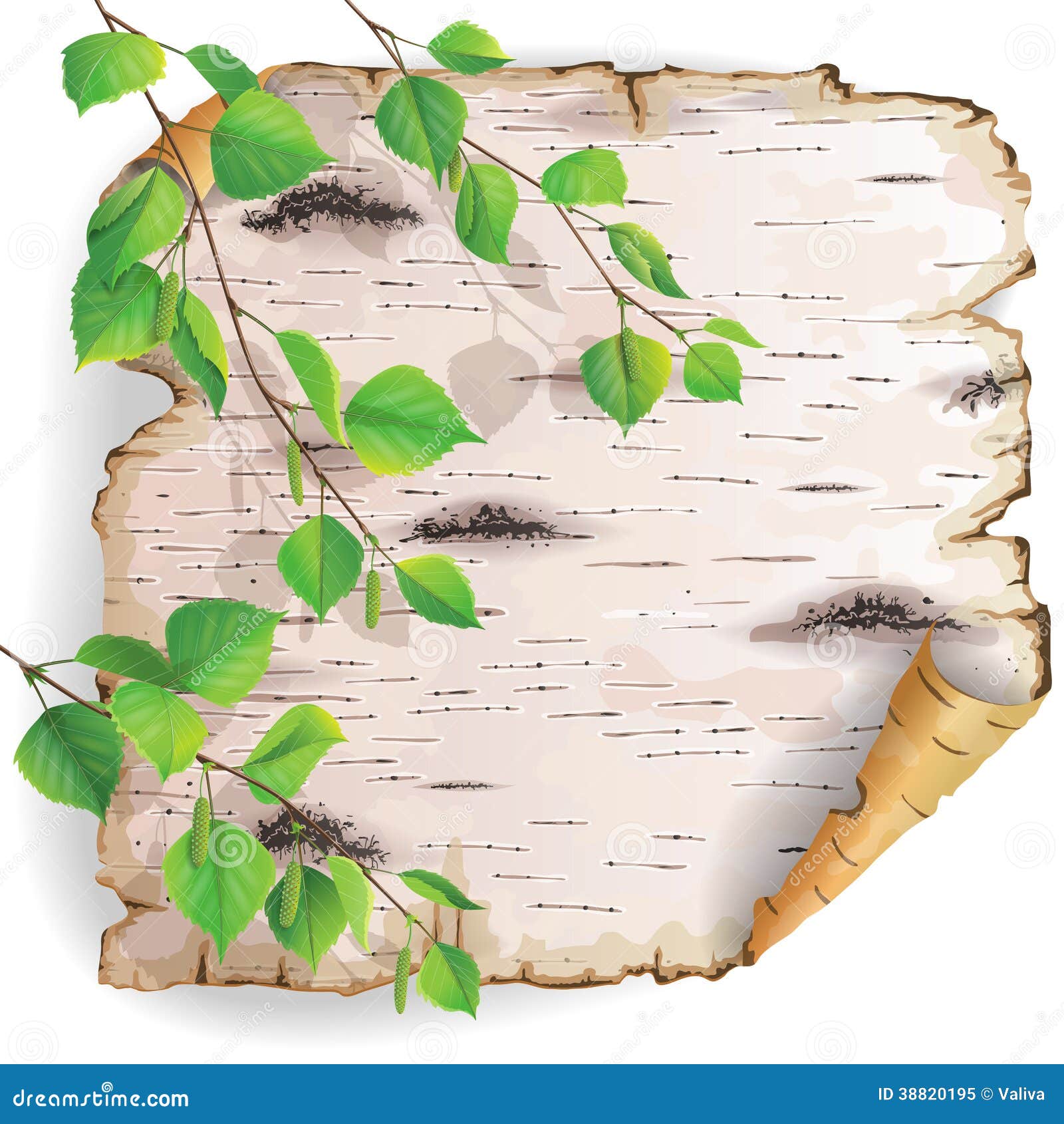 Midewiwin Birch Bark Scrolls Clipart