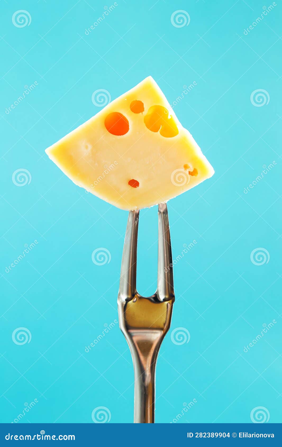 Piece of Cheese with Holes on the Fork Stock Photo - Image of parmesan ...
