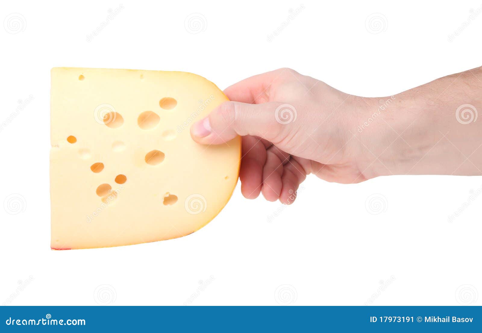 Piece Of Cheese In A Human Hand Stock Image - Image: 17973191