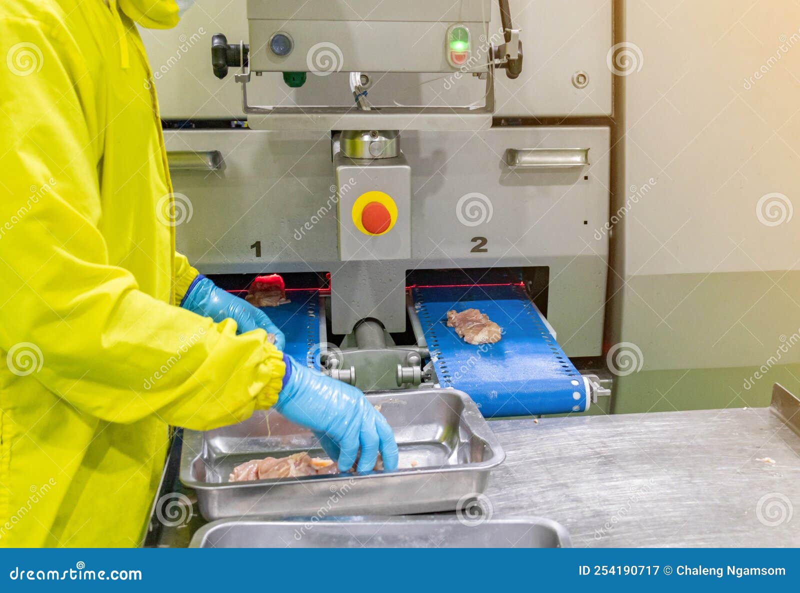 A Piece Chicken Meat on Conveyor Belt To Automatic Cutting Machine ...