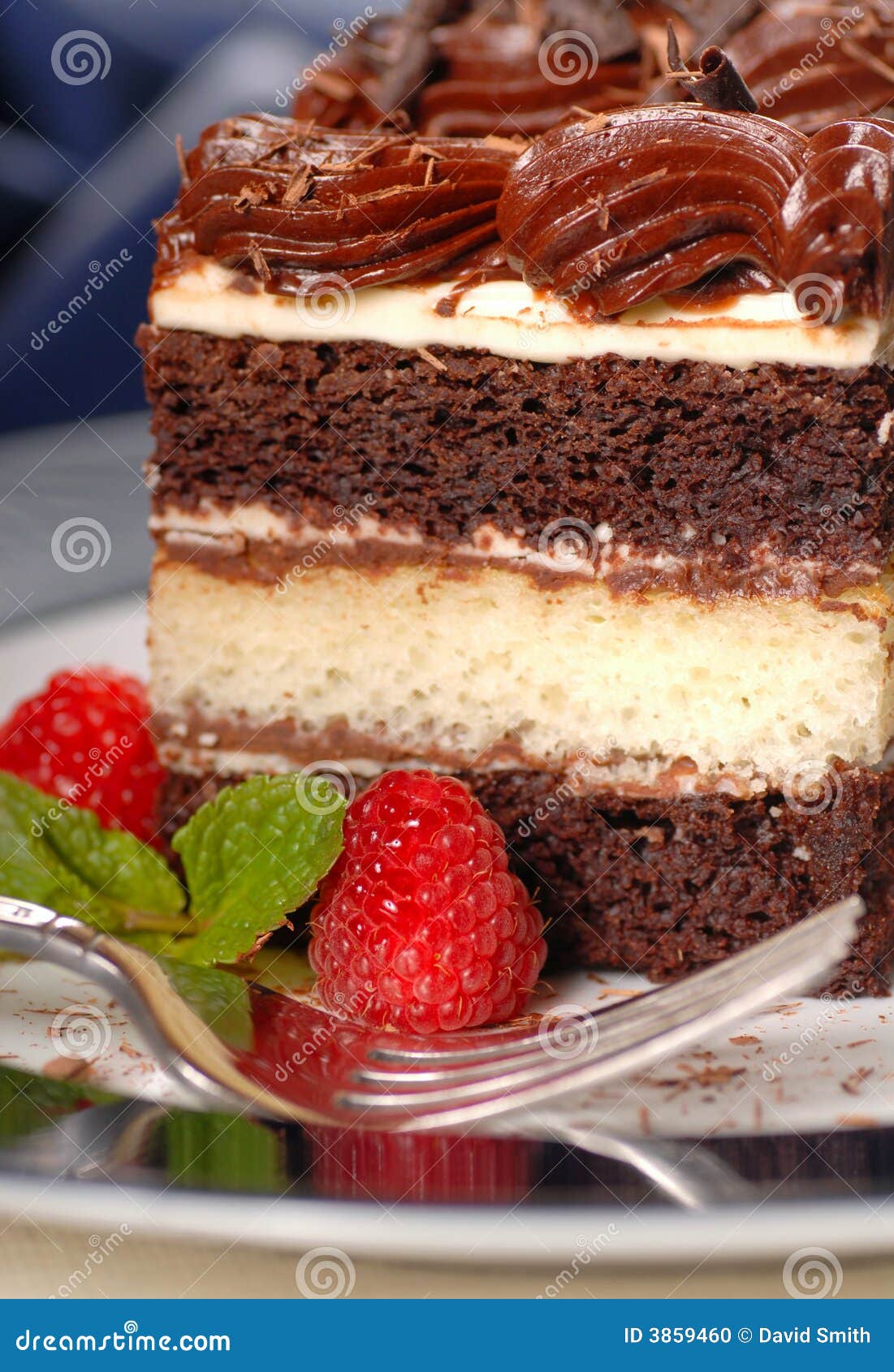 Layer Cake Texture Royalty-Free Stock Photography | CartoonDealer.com ...