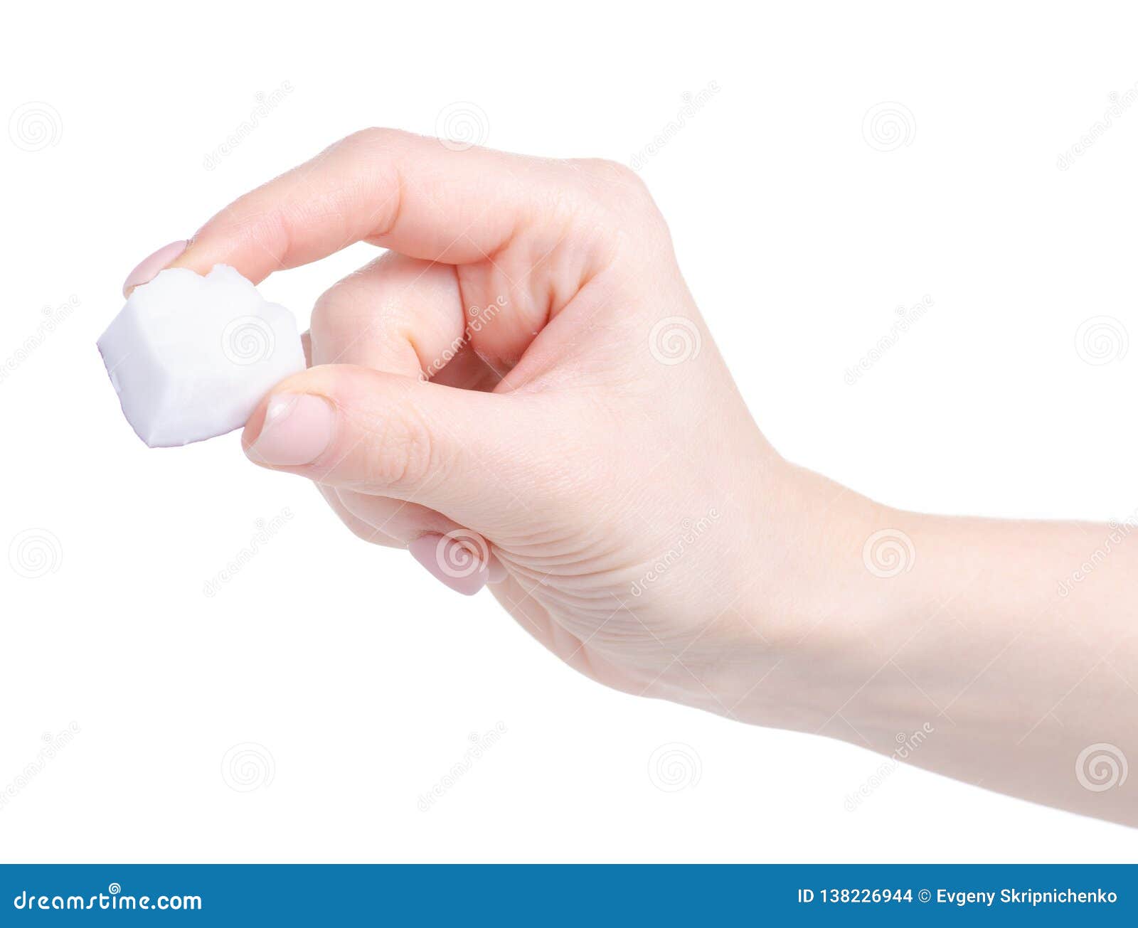 A piece of coconut in hand stock photo. Image of drink - 138226944