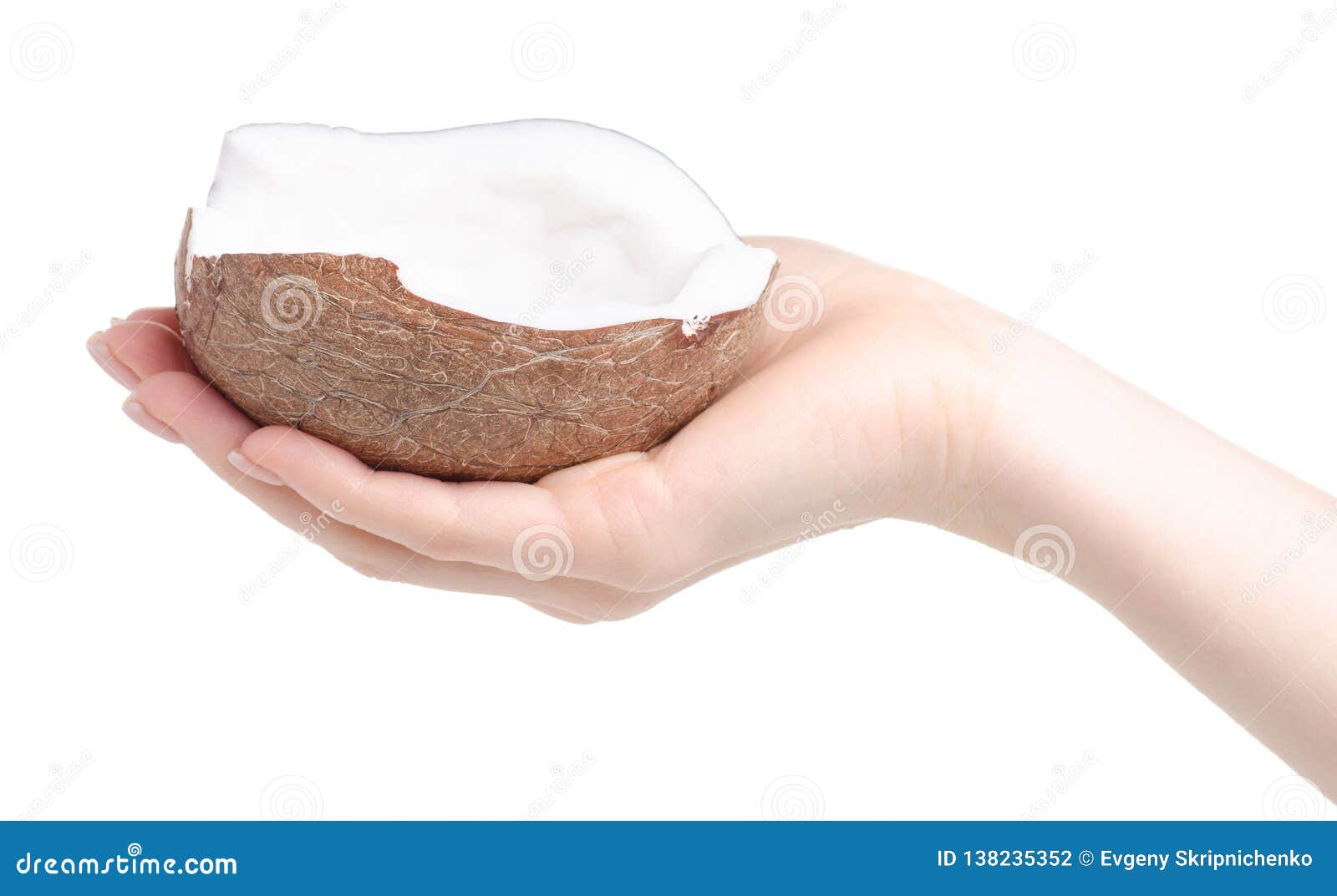 A piece of coconut in hand stock photo. Image of fruit - 138235352