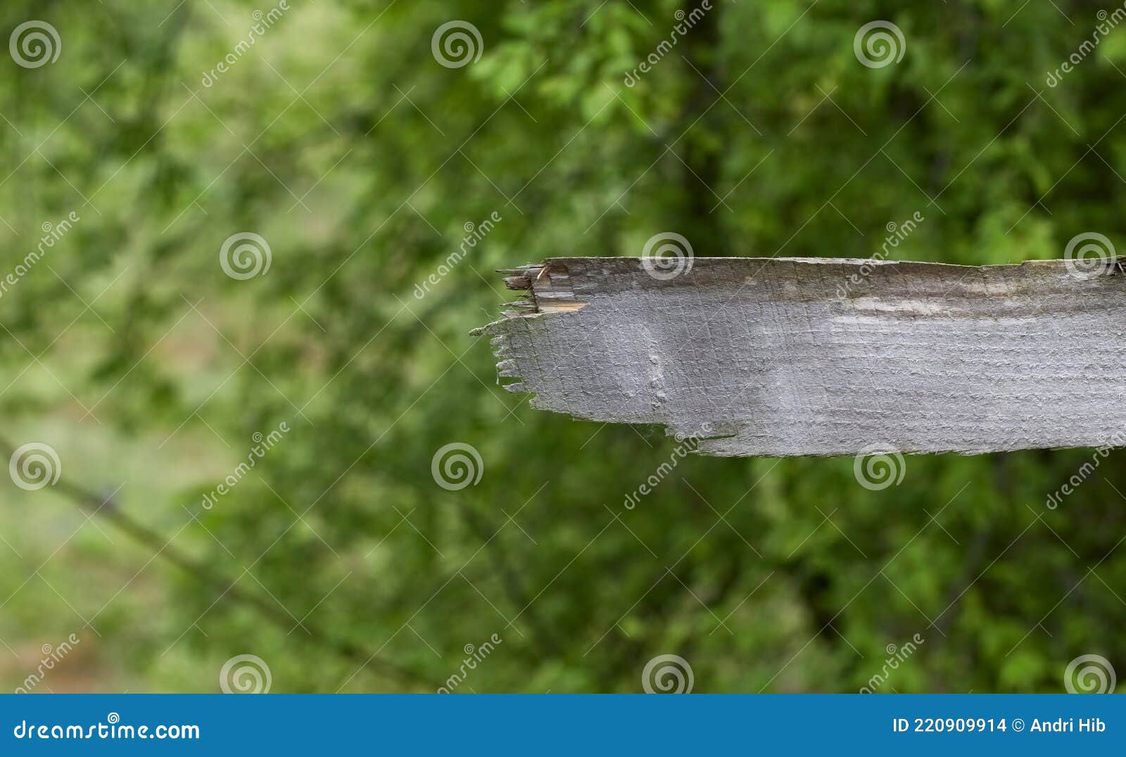 Piece of Dry Broken Board on a Green Background. Stock Photo - Image of ...