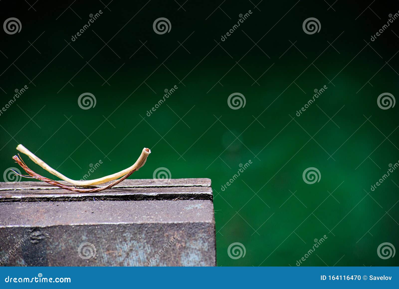 A Piece of Electrical Wire with Cut Insulation Stock Photo - Image of ...