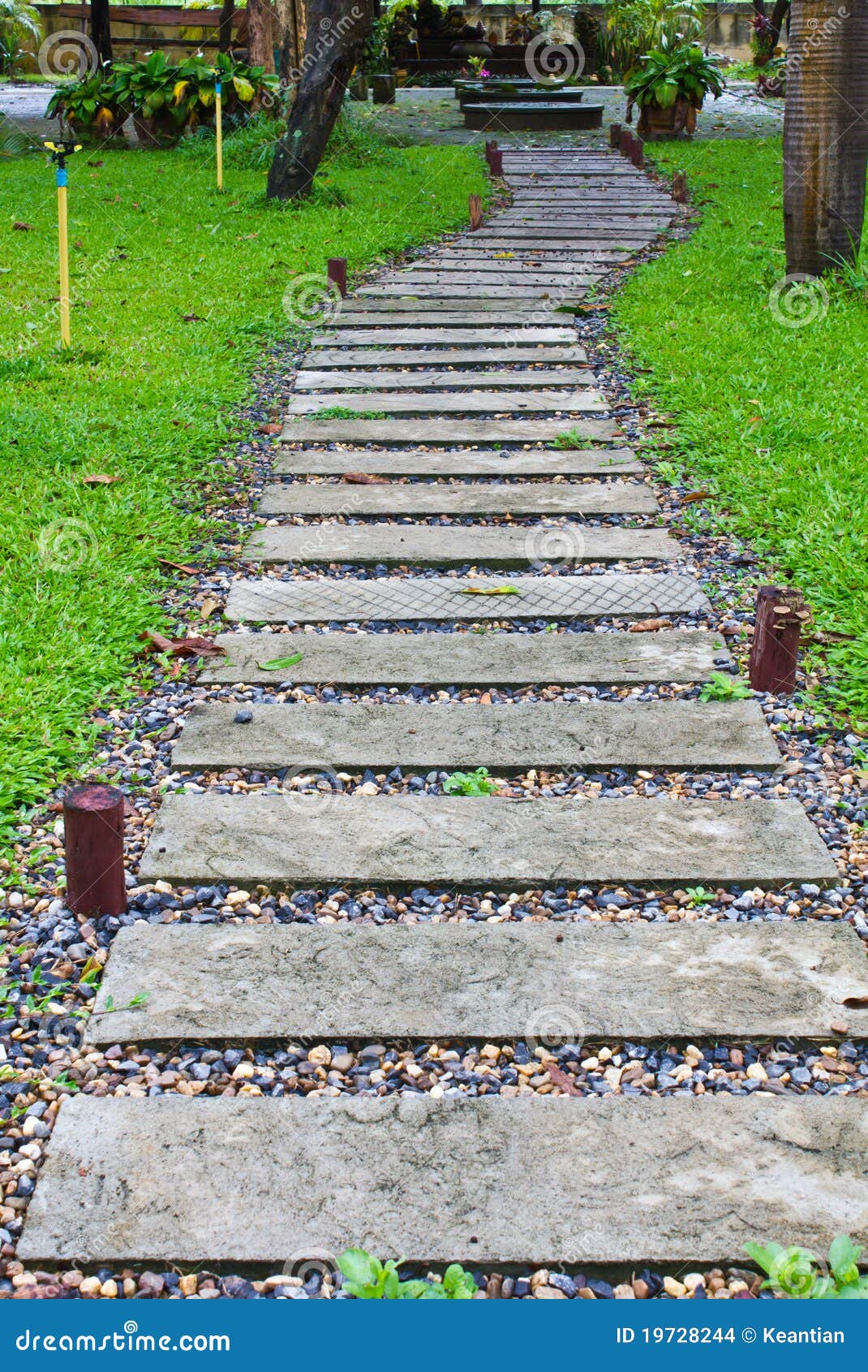 The piece of grass. stock photo. Image of green, ground - 19728244