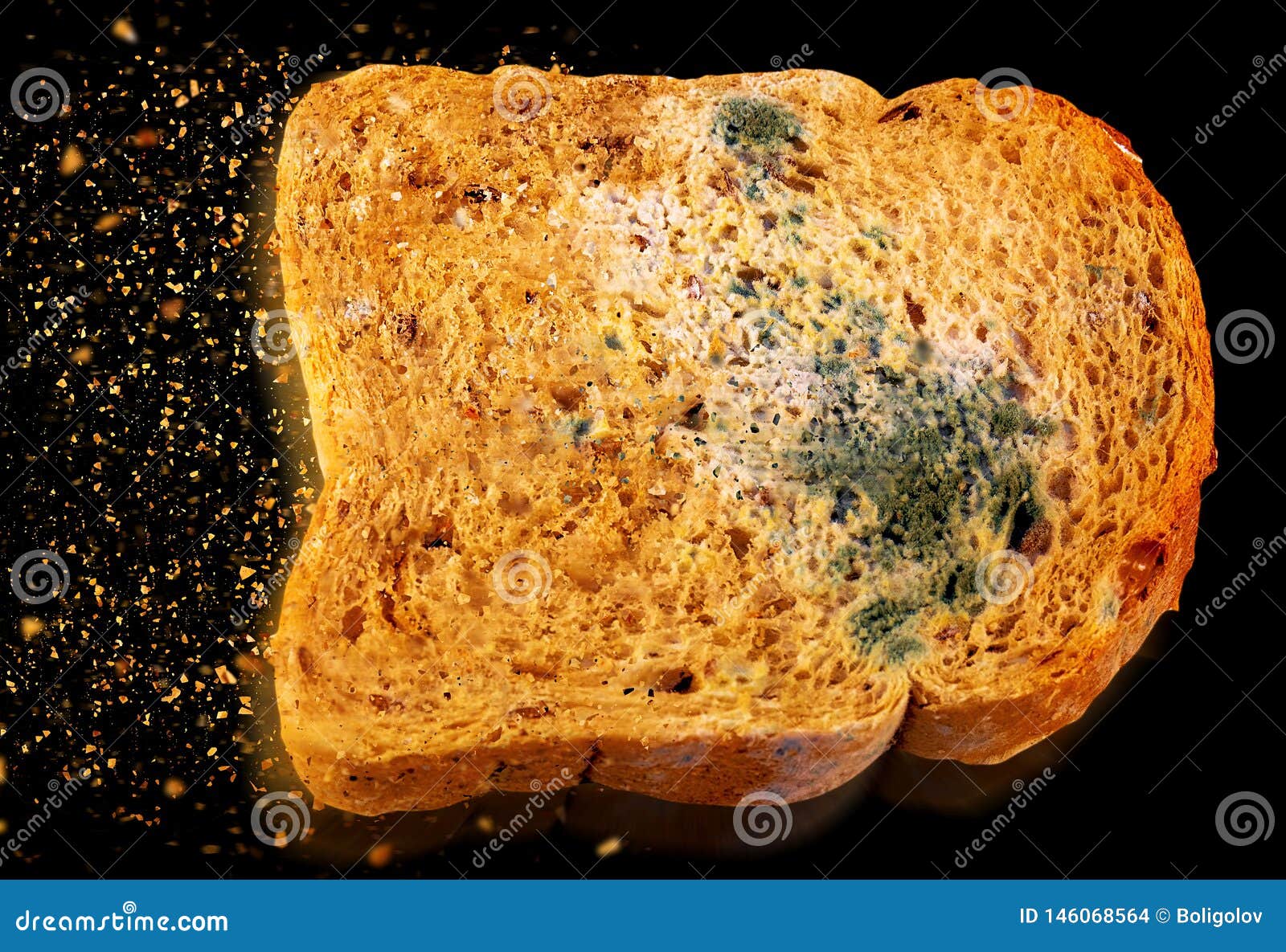 Piece of Grey Bread with Blue and Green Mold Isolated on Black B Stock ...