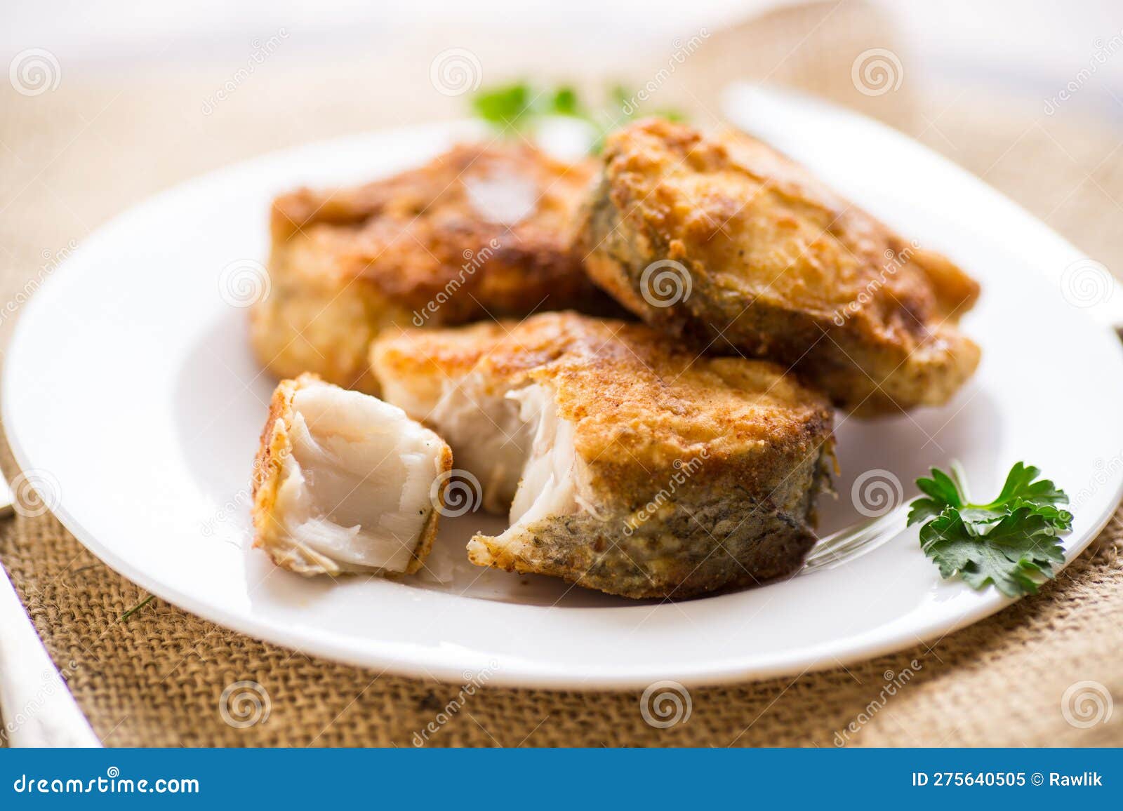A Piece of Hake Fish Fried in a Crispy Crust, in a Plate. Stock Image ...